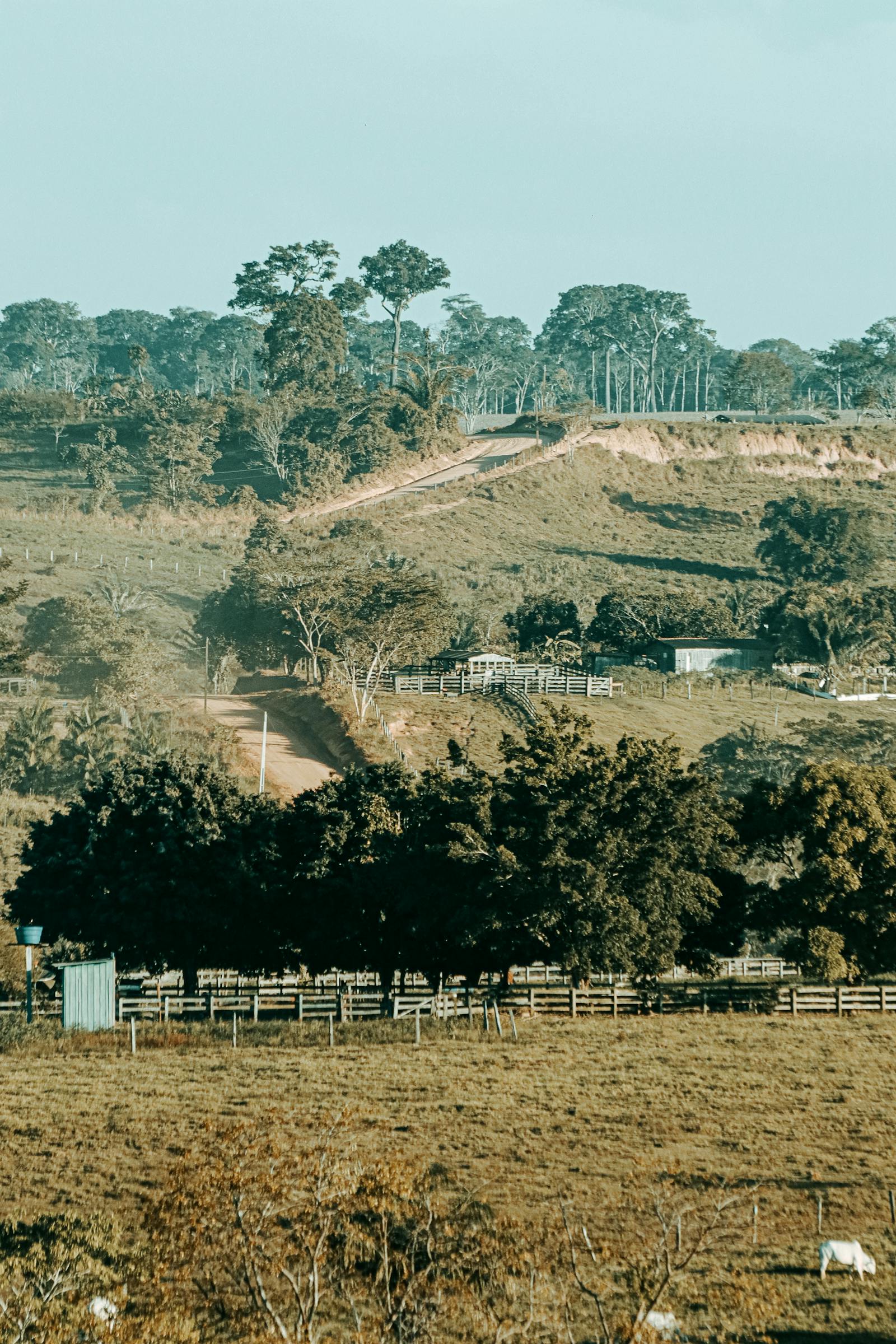 Land Chut Photos, Download The BEST Free Land Chut Stock Photos & HD Images