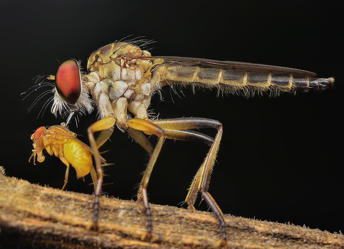 20+ Foto Toket+gede+abg+bugil Terbaik · Unduh Gratis 100% · Foto Stok Pexels