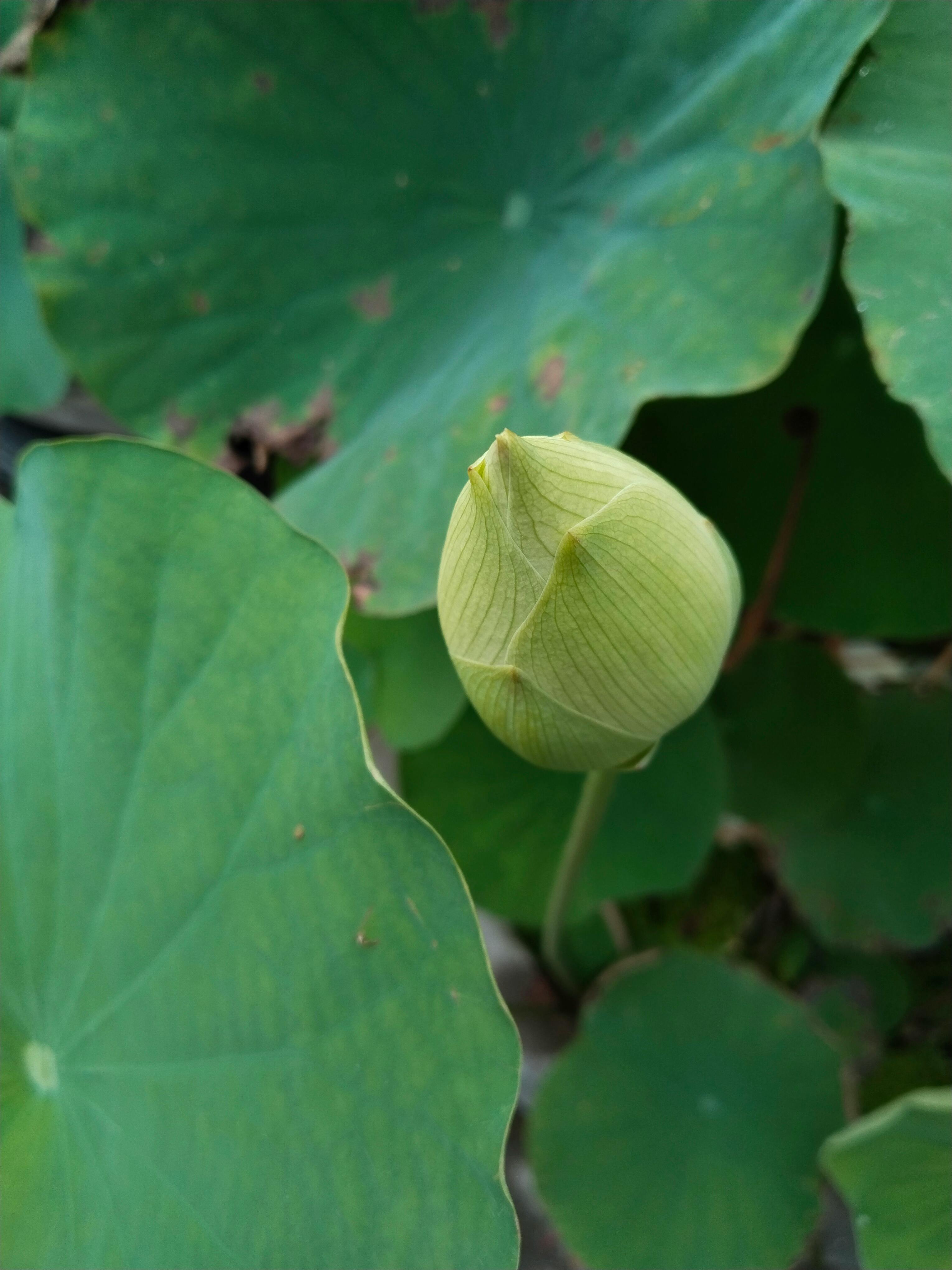 Ict Wallpaper Photos, Download The BEST Free Ict Wallpaper Stock Photos ...