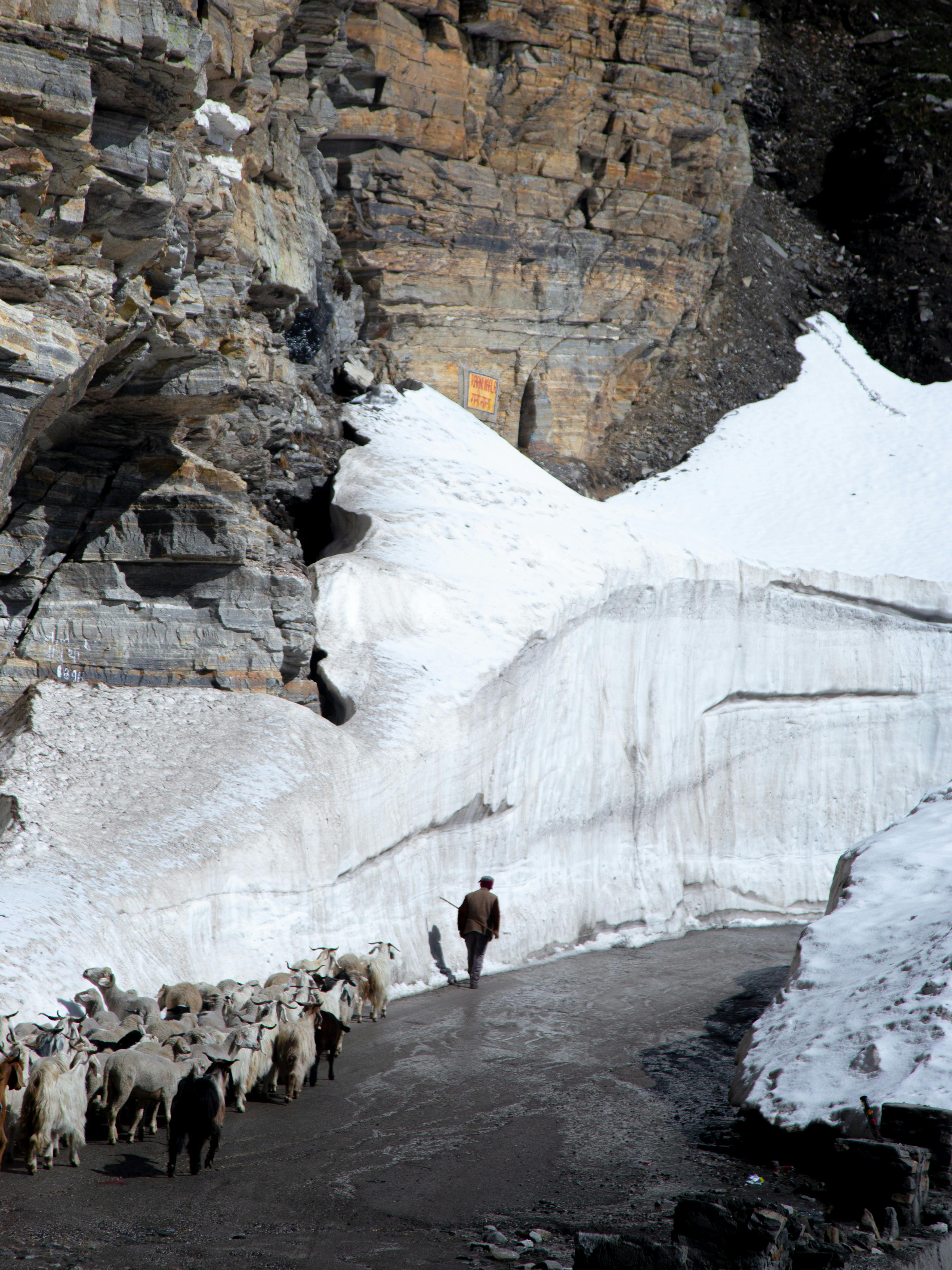 Graduation Pass Out Group Photos, Download The BEST Free Graduation ...