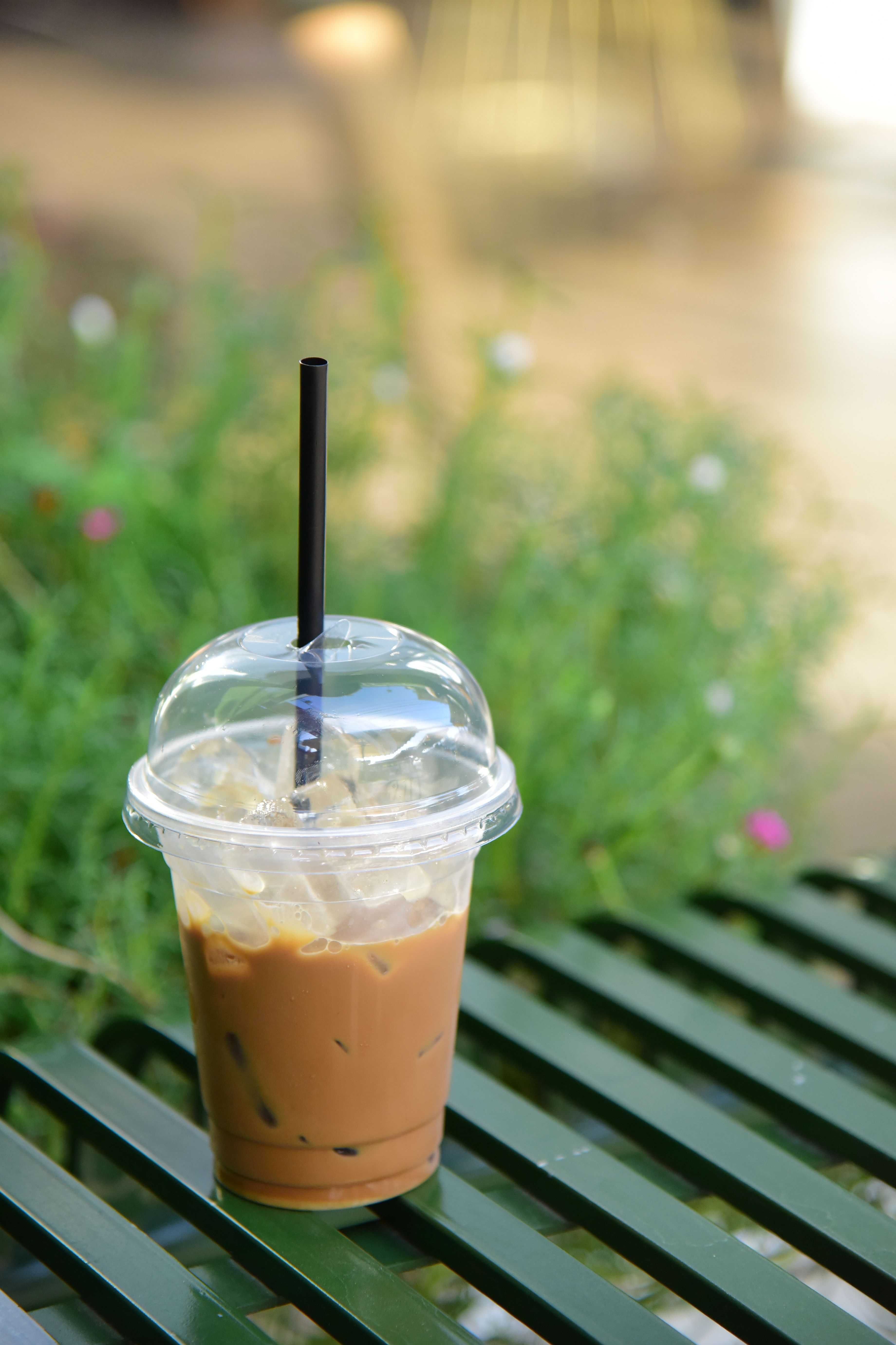 Iced Coffee on Outdoor Bench in Summer · Free Stock Photo