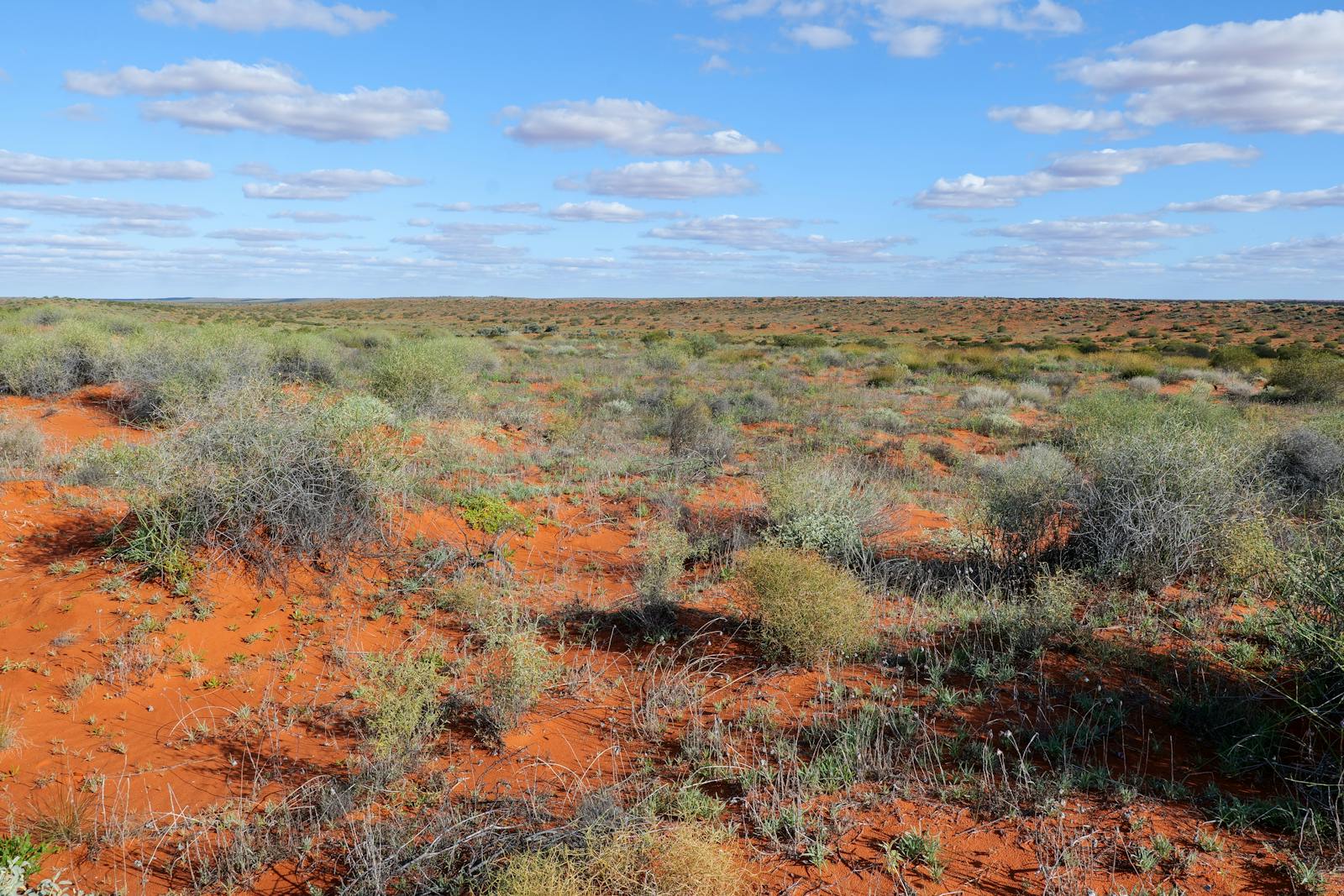 Australian Outback Photos, Download The BEST Free Australian Outback ...