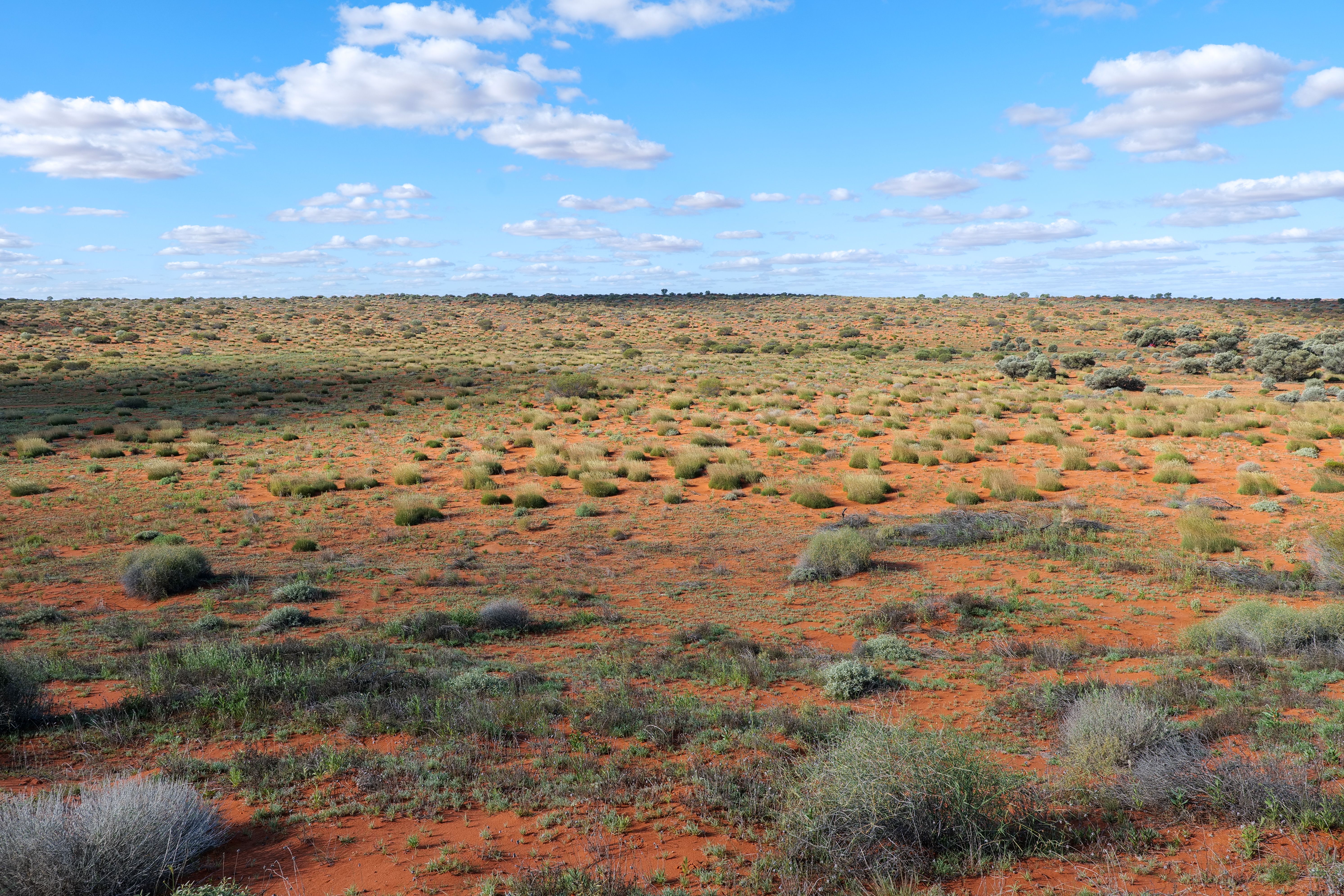 Vast Australian Outback Landscape Under Blue Sky · Free Stock Photo