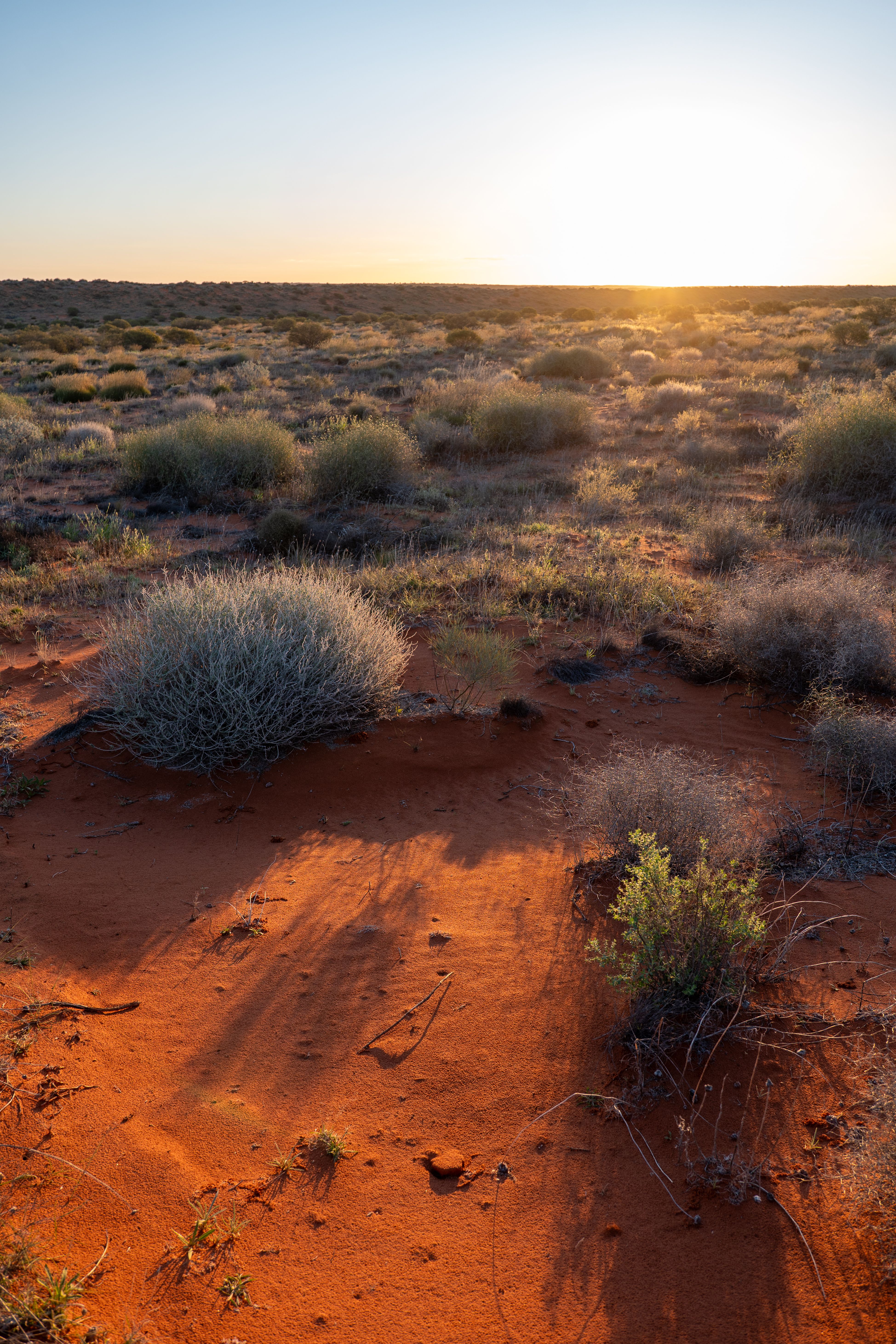 Stunning Australian Desert Landscape at Sunset · Free Stock Photo