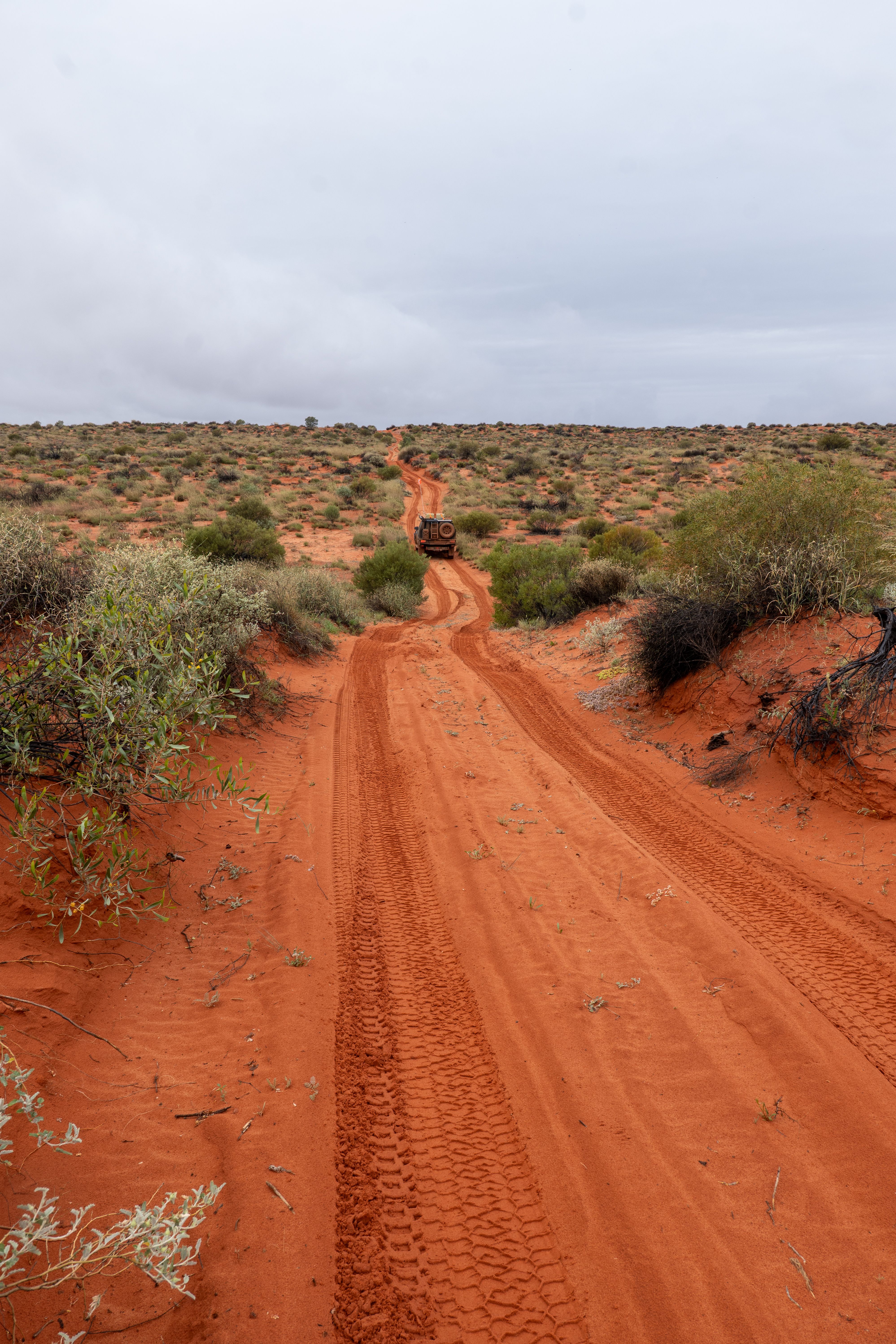 Australian Bush Track Photos, Download The BEST Free Australian Bush ...