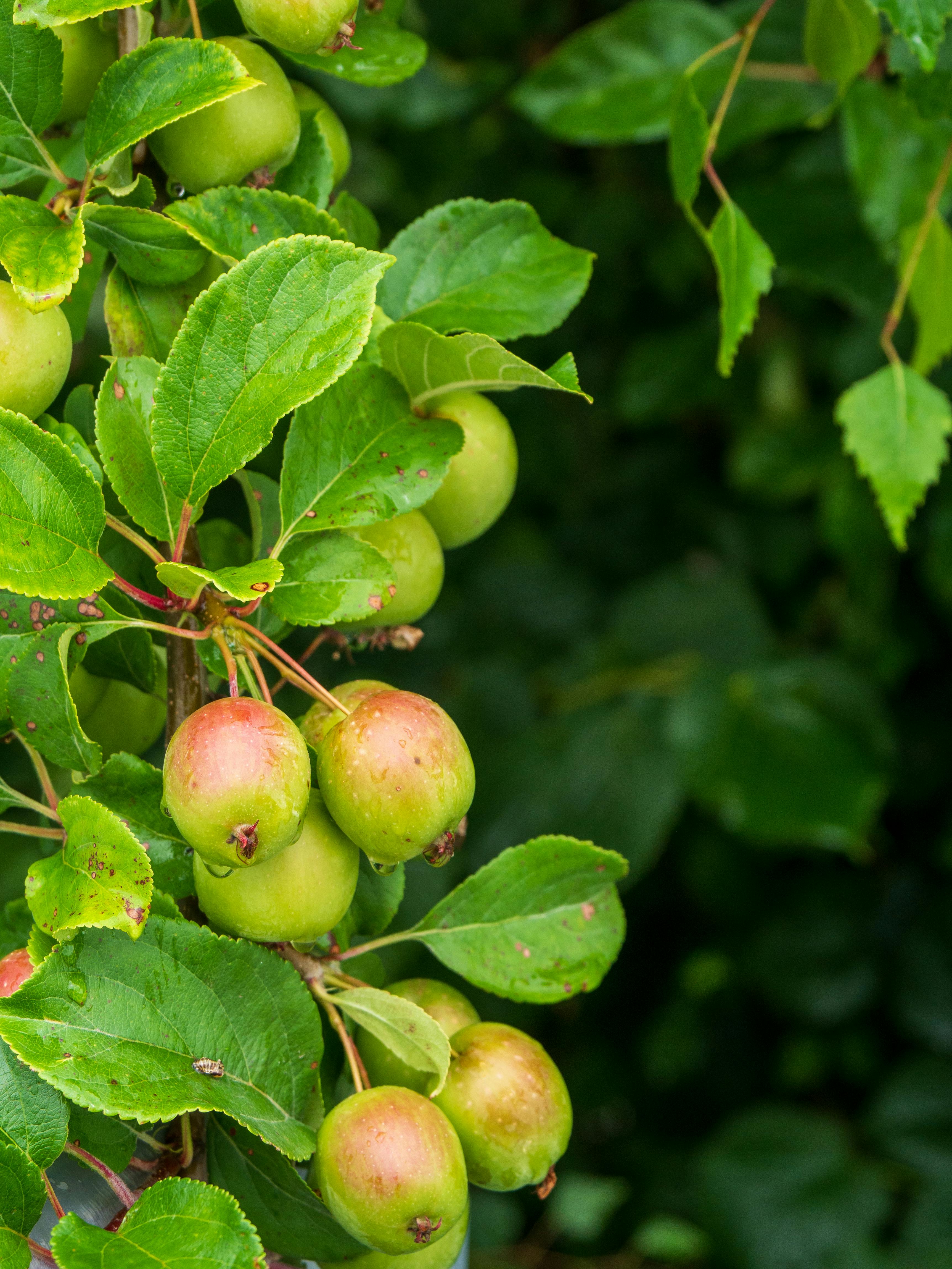 Mukesh Ambani Photo Photos, Download The BEST Free Mukesh Ambani Photo ...