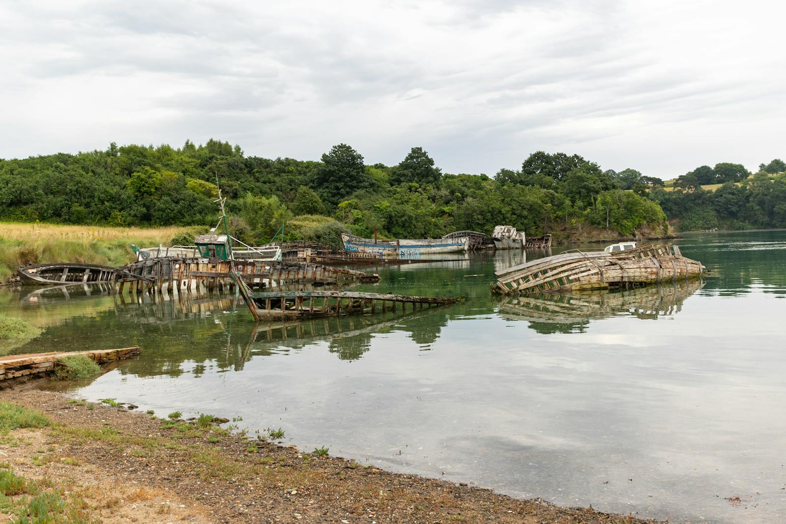 Pixel+Bay Photos, Download The BEST Free Pixel+Bay Stock Photos & HD Images