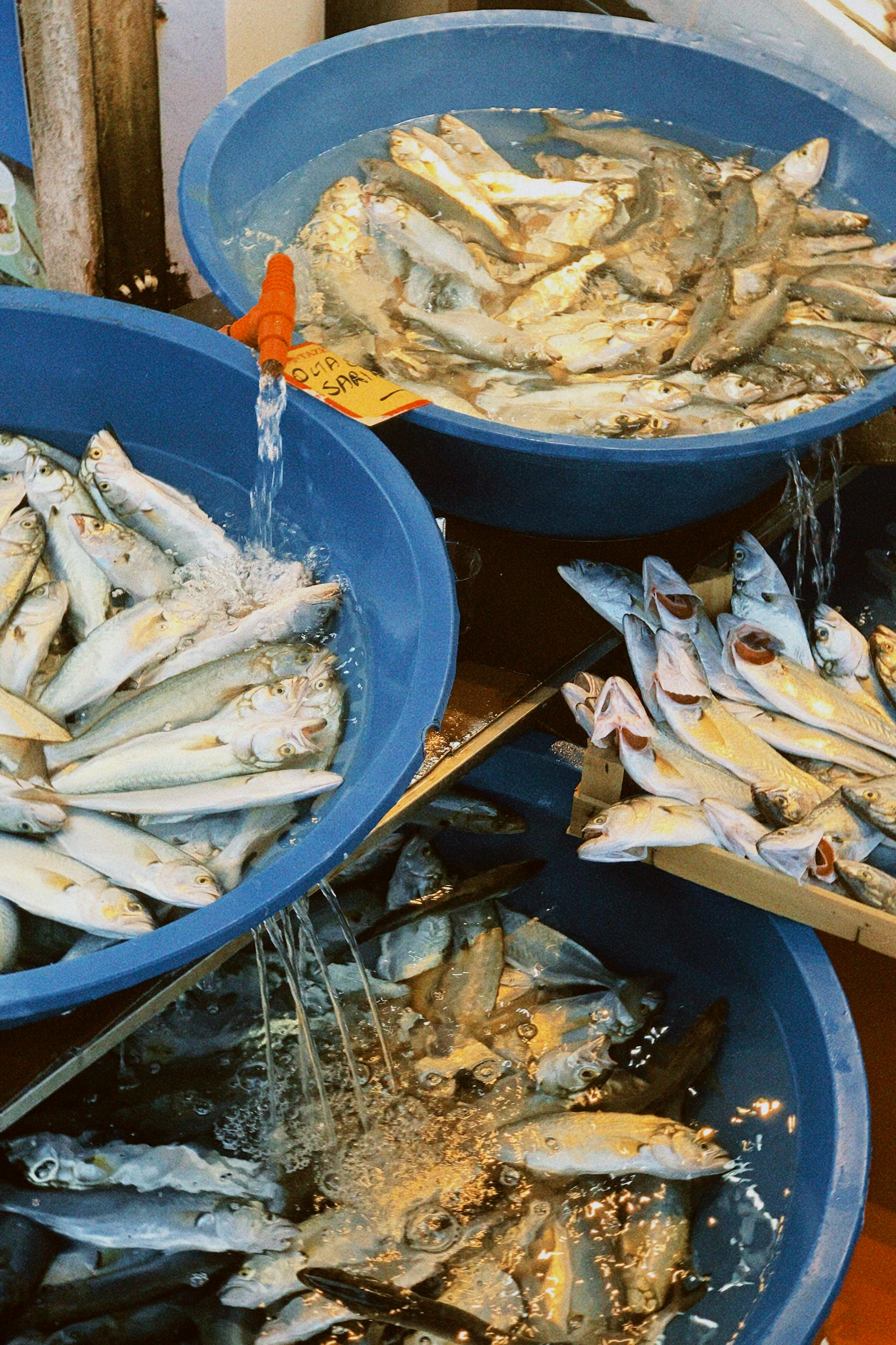 800+ melhores imagens de Liteblue.usps.gov Tubs · Download 100% grátis ...