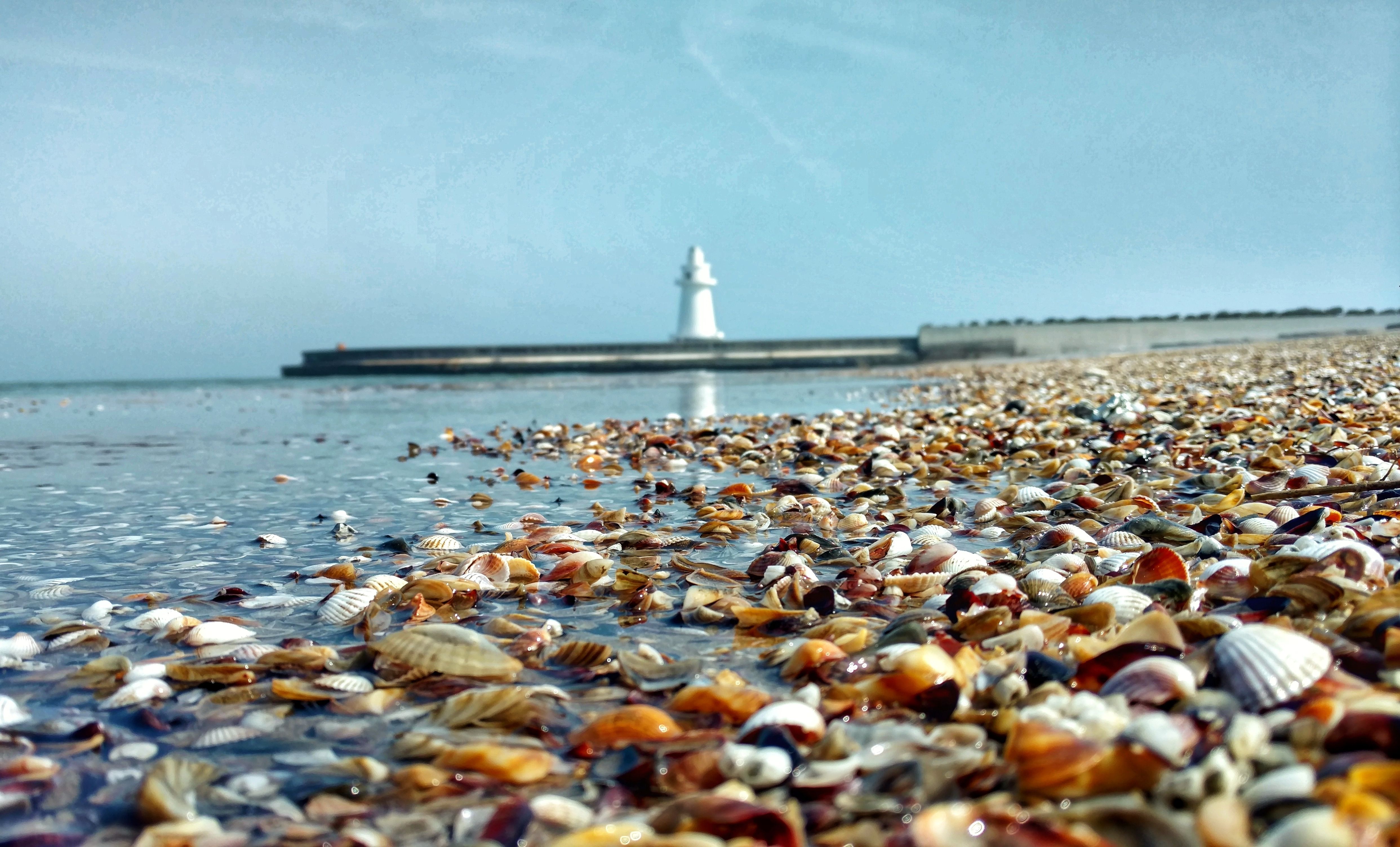 Seashells on Beach with Distant Lighthouse in Baku · Free Stock Photo