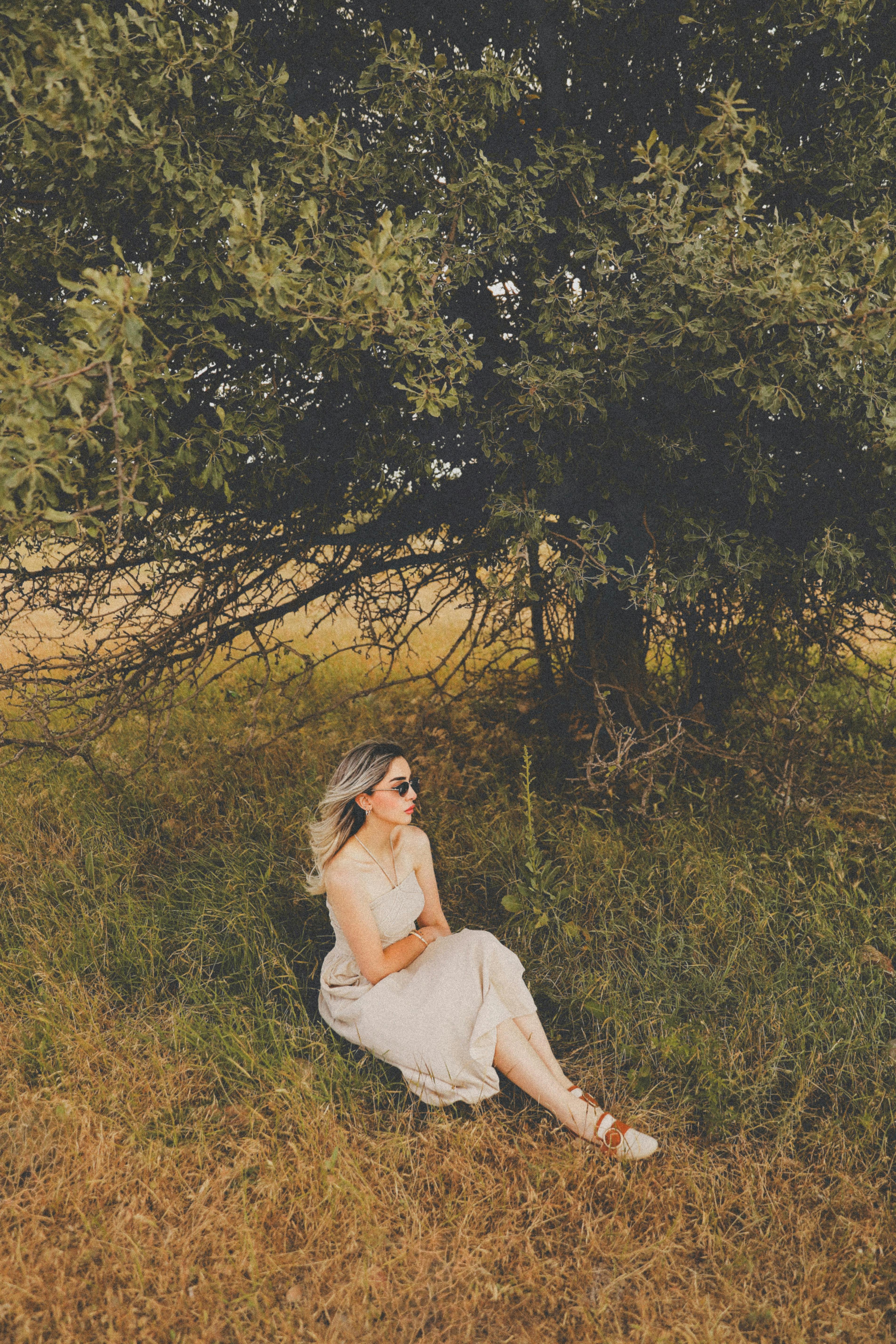 Rural Light Photos, Download The BEST Free Rural Light Stock Photos ...