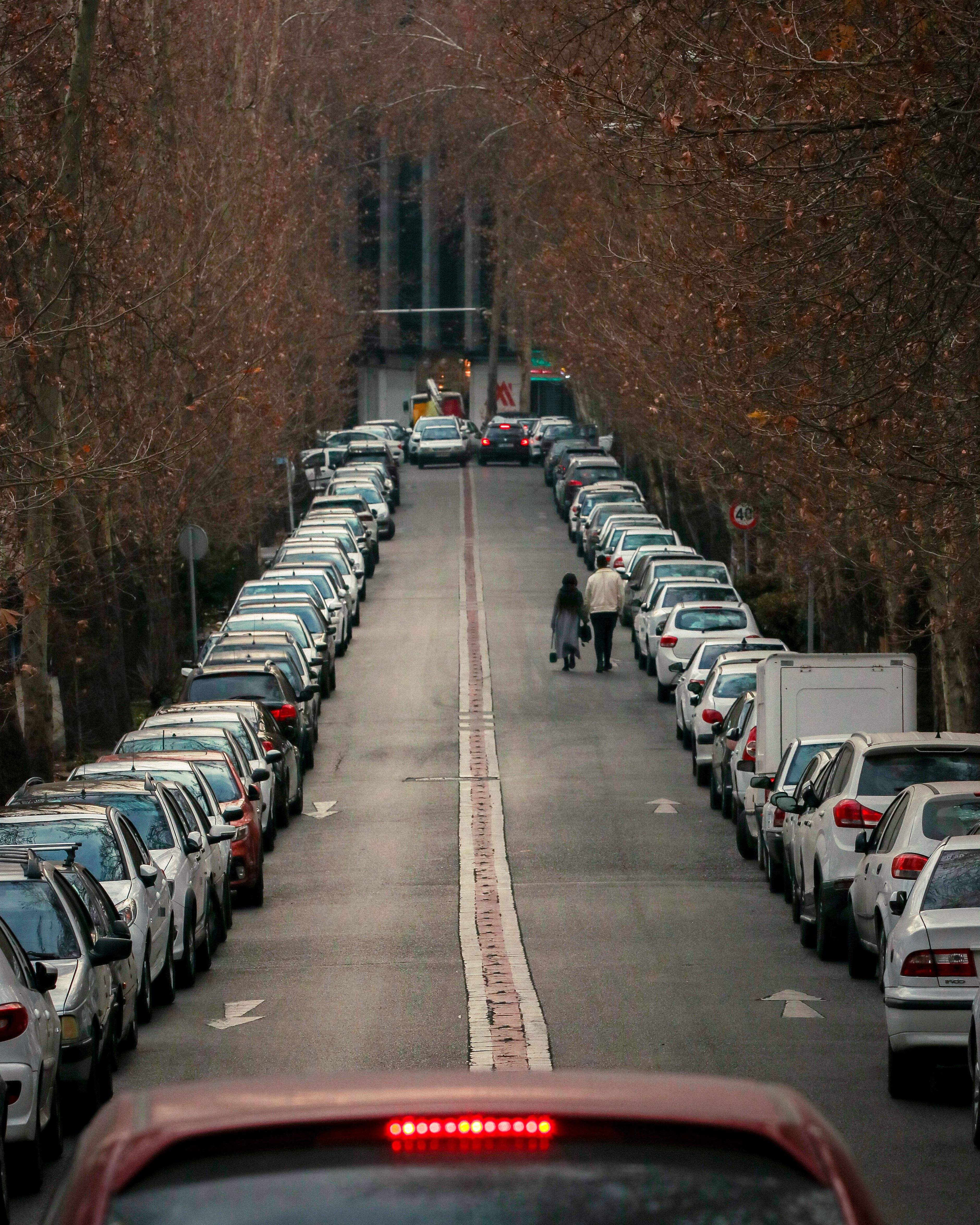 Autumn Street Scene with Parked Cars in Tehran · Free Stock Photo