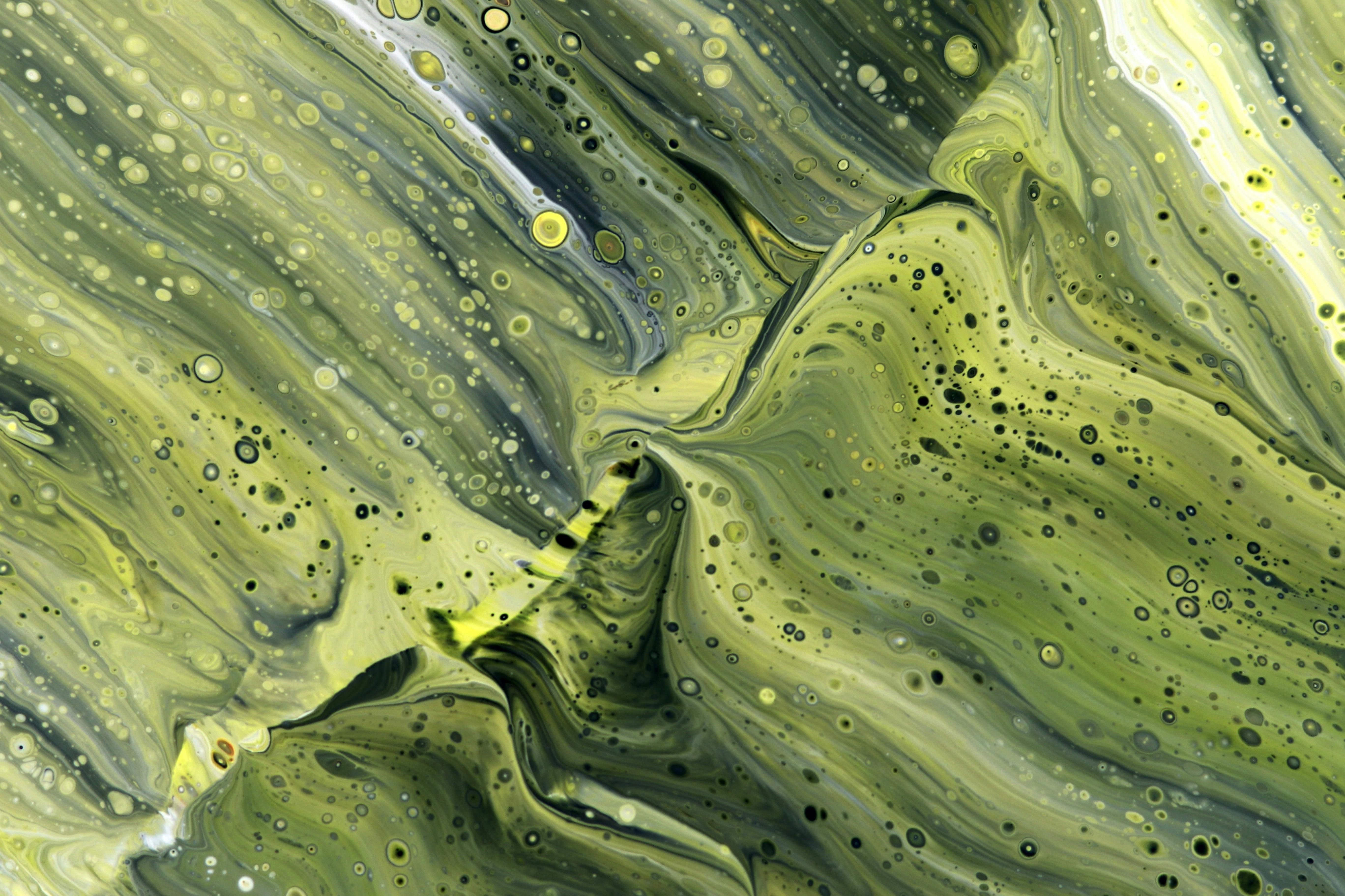 45.075+ Fotos y Imágenes de Pinte Gratis · Banco de Fotos Gratis