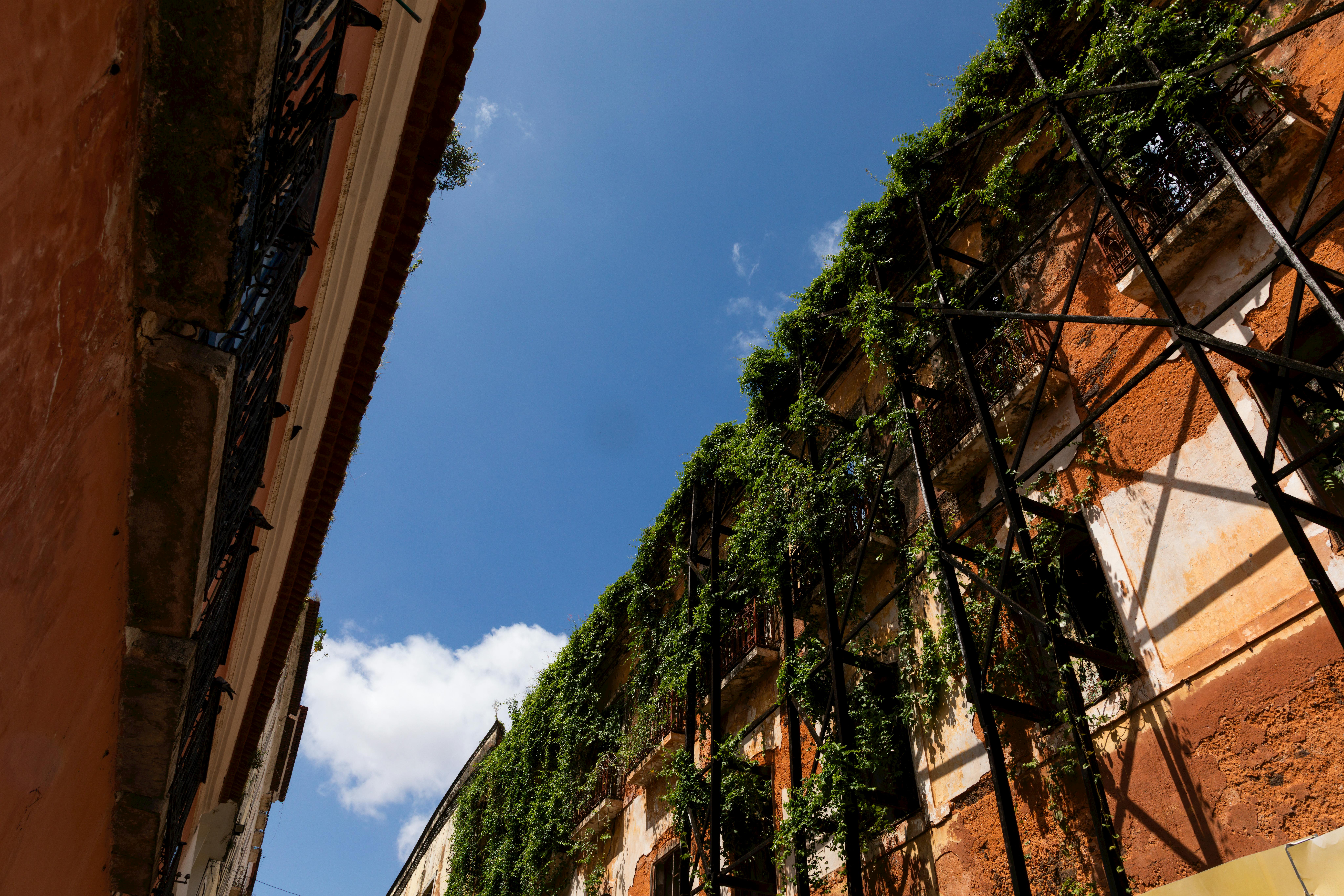 Ragnarok Era Photos, Download The BEST Free Ragnarok Era Stock Photos ...