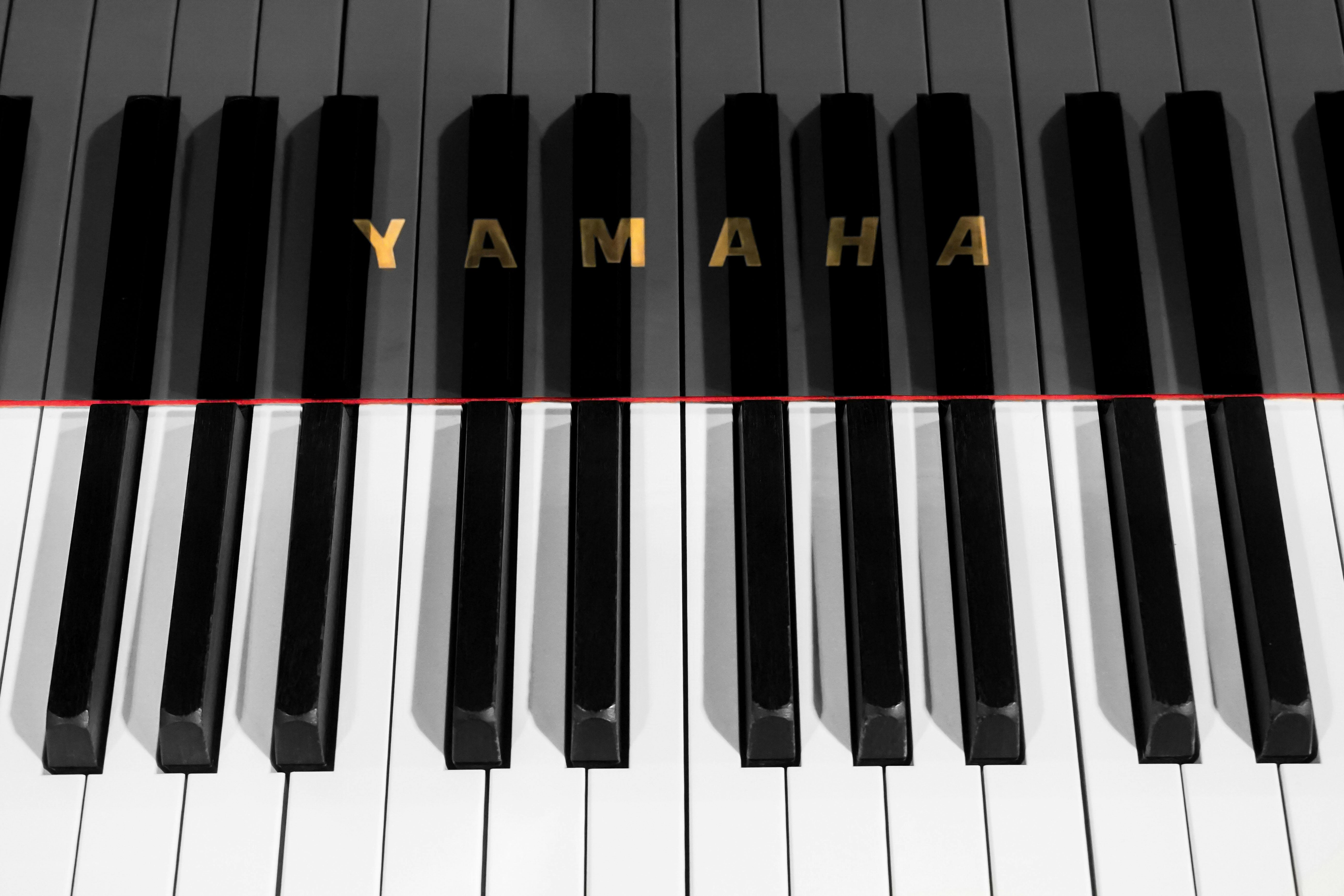 Abcd Keyboard Photos, Download The BEST Free Abcd Keyboard Stock Photos ...