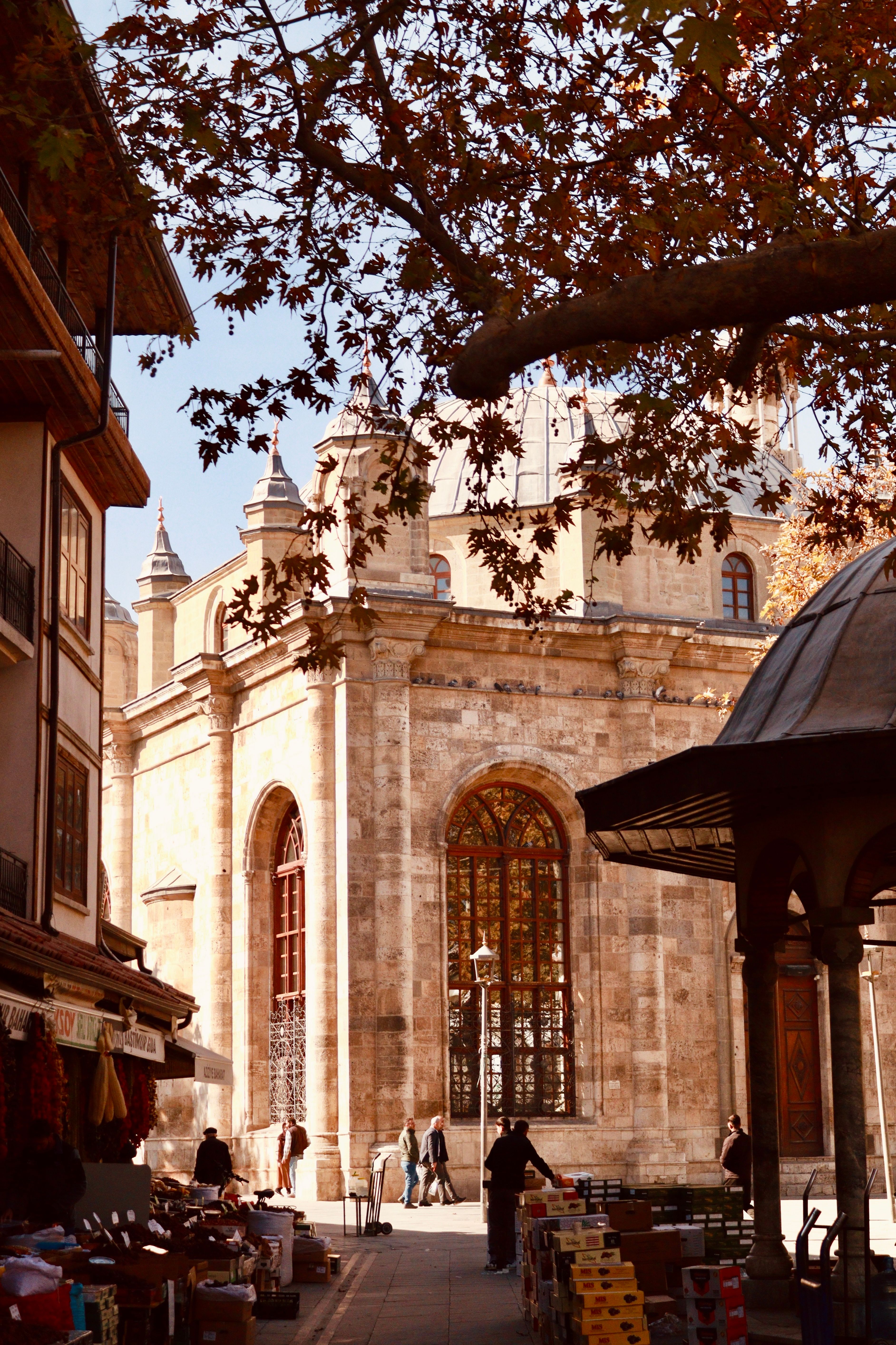 Historic Church with Autumn Leaves in Cityscape · Free Stock Photo