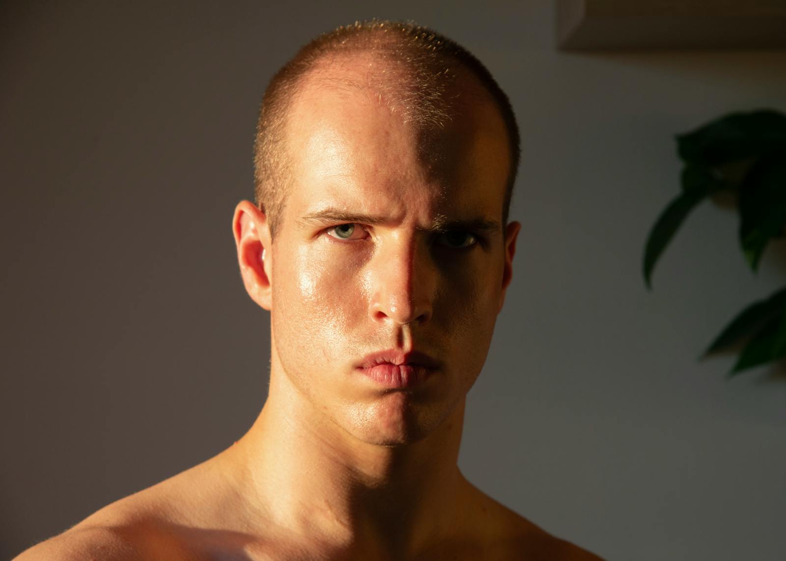 Face Portrait Photos, Download The BEST Free Face Portrait Stock Photos ...