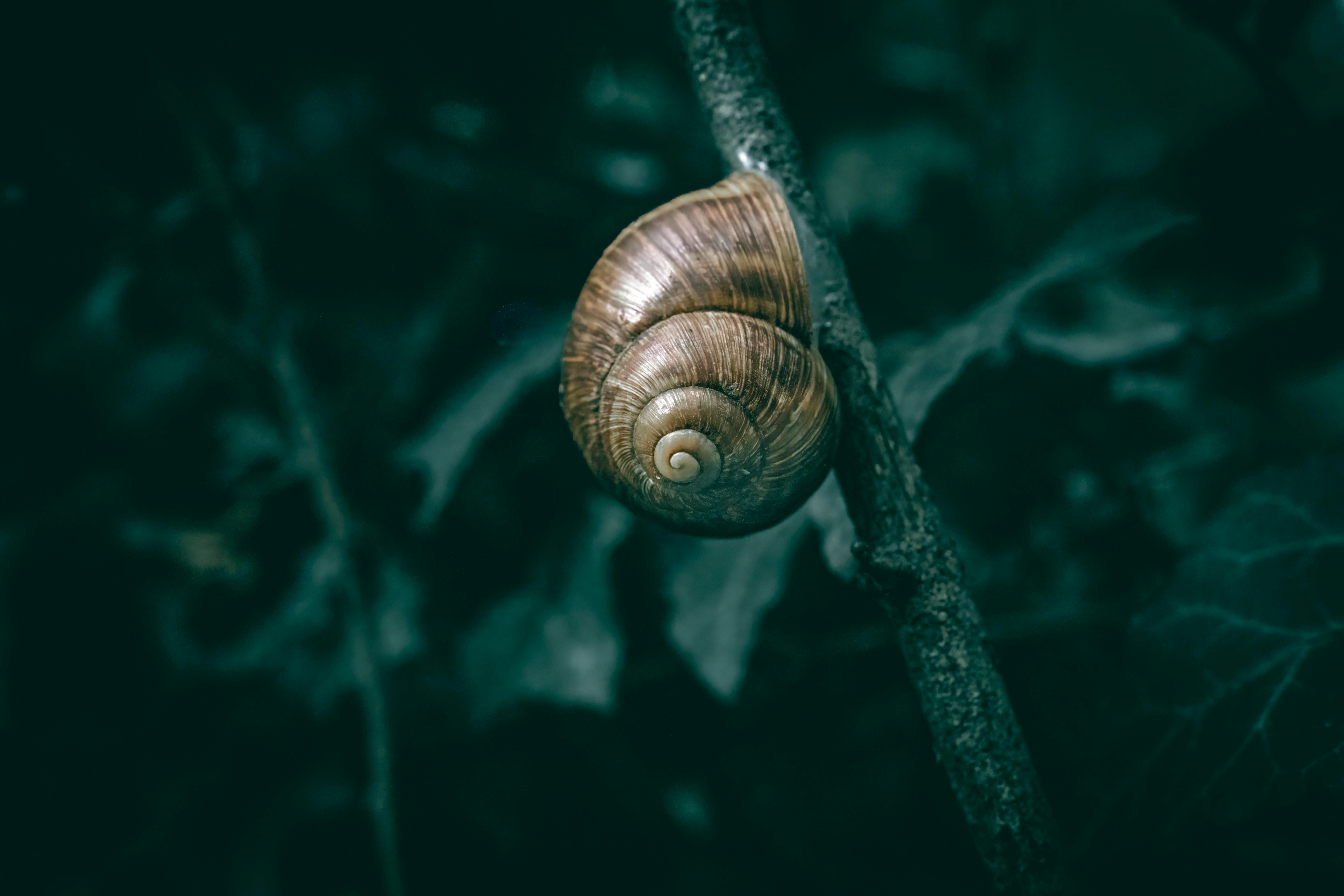 Slow Response Photos, Download The BEST Free Slow Response Stock Photos ...