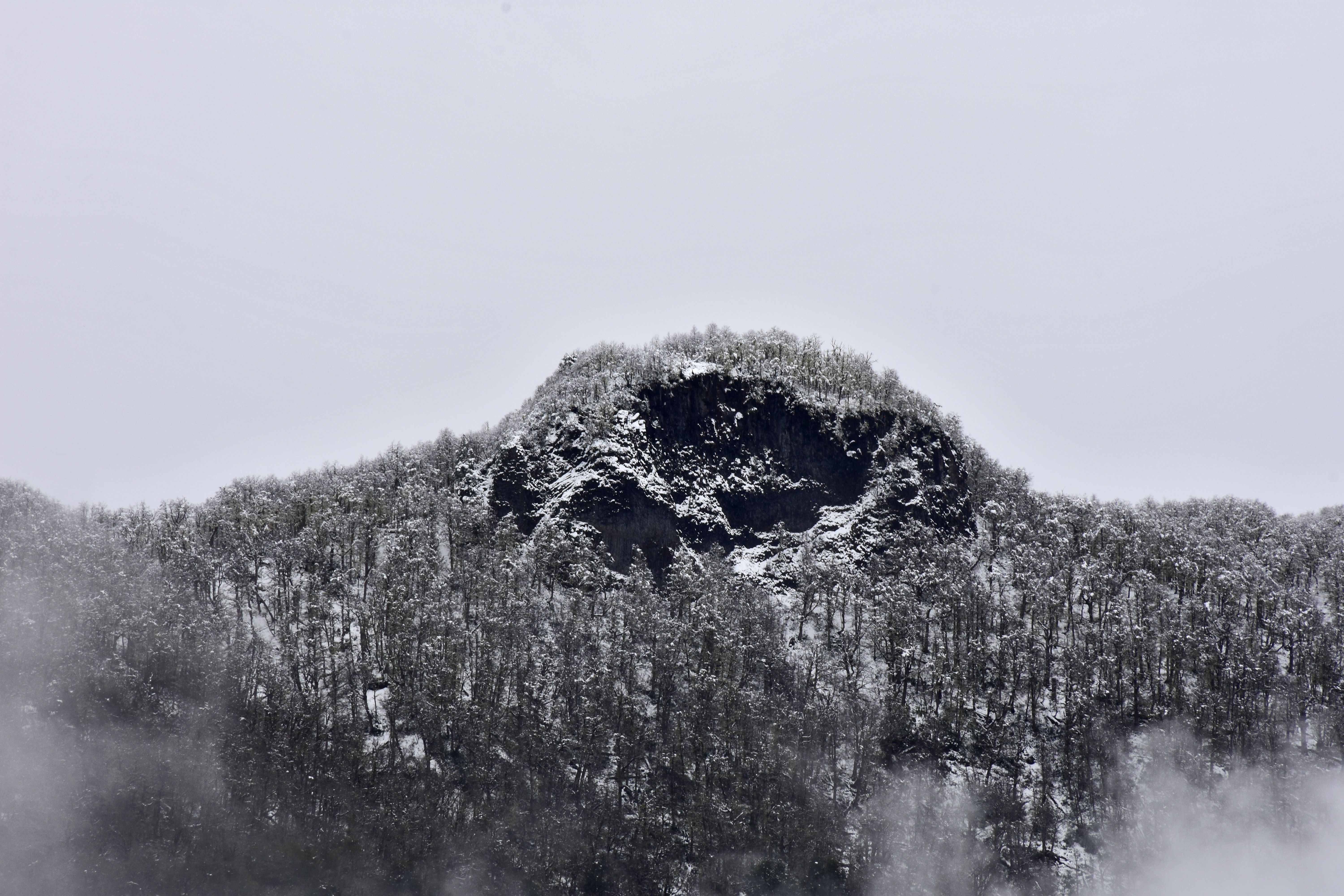 Winter Forest Cliff Photos, Download The BEST Free Winter Forest Cliff ...