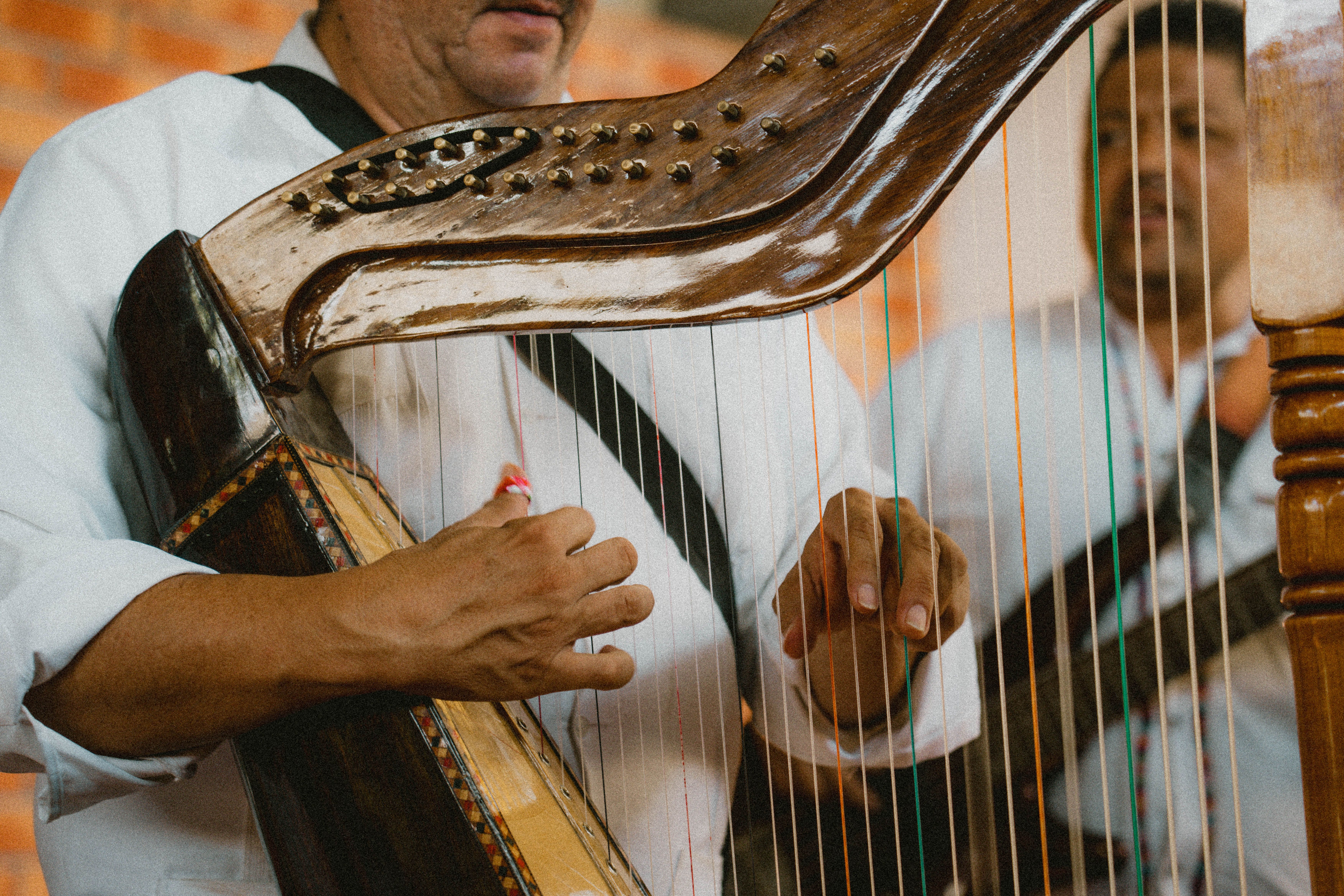 Close-Up of Musicians Playing Harp and Bass · Free Stock Photo
