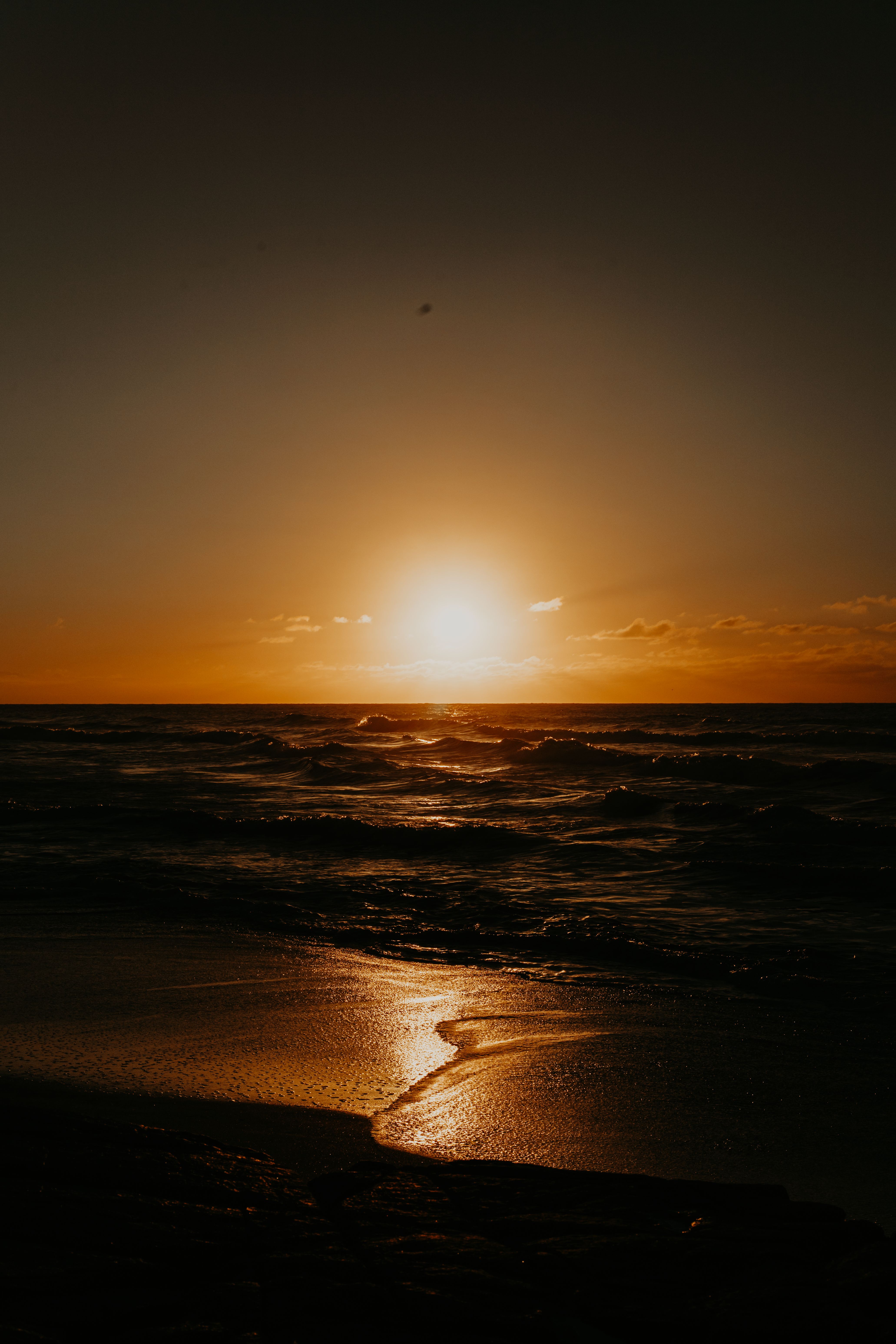 Water Pollution 4k Photos, Download The BEST Free Water Pollution 4k ...