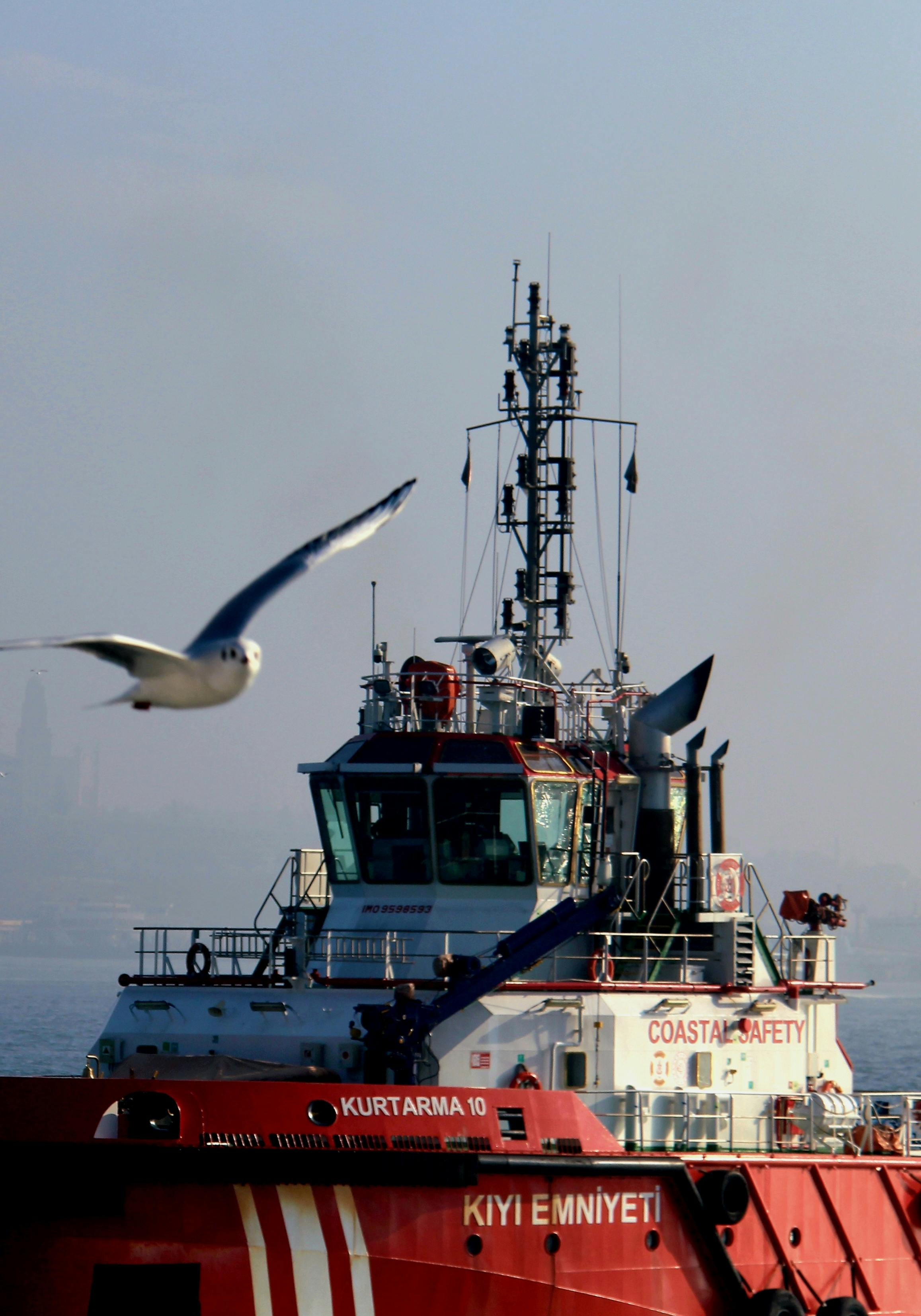 Rescue Photos, Download The BEST Free Rescue Stock Photos & HD Images