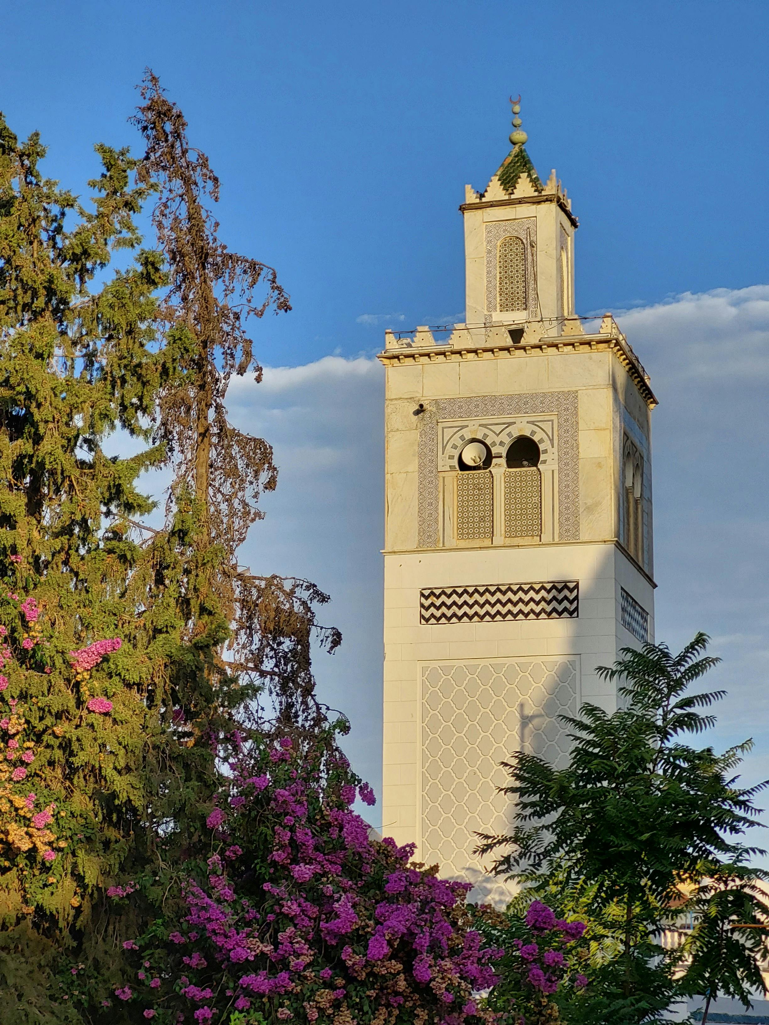 Islamic Kalma Photos, Download The BEST Free Islamic Kalma Stock Photos ...