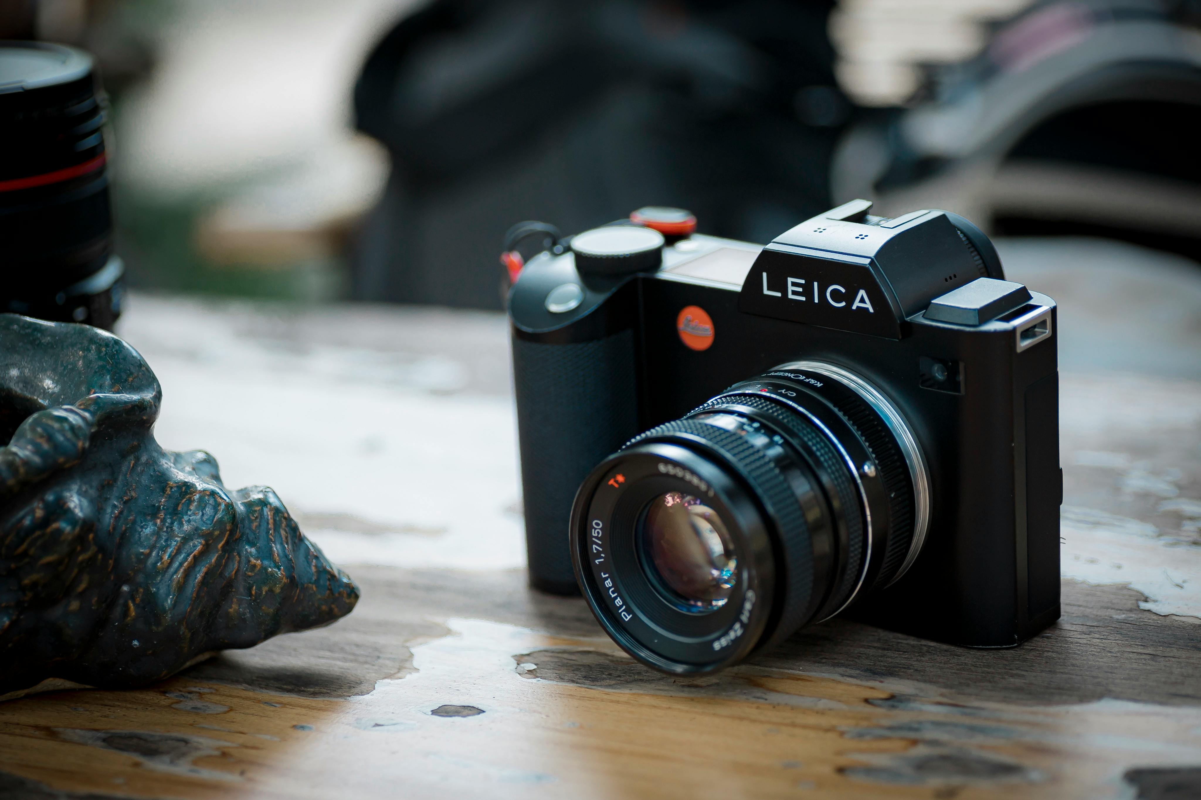 High Quality Photos, Download The BEST Free High Quality Stock Photos ...