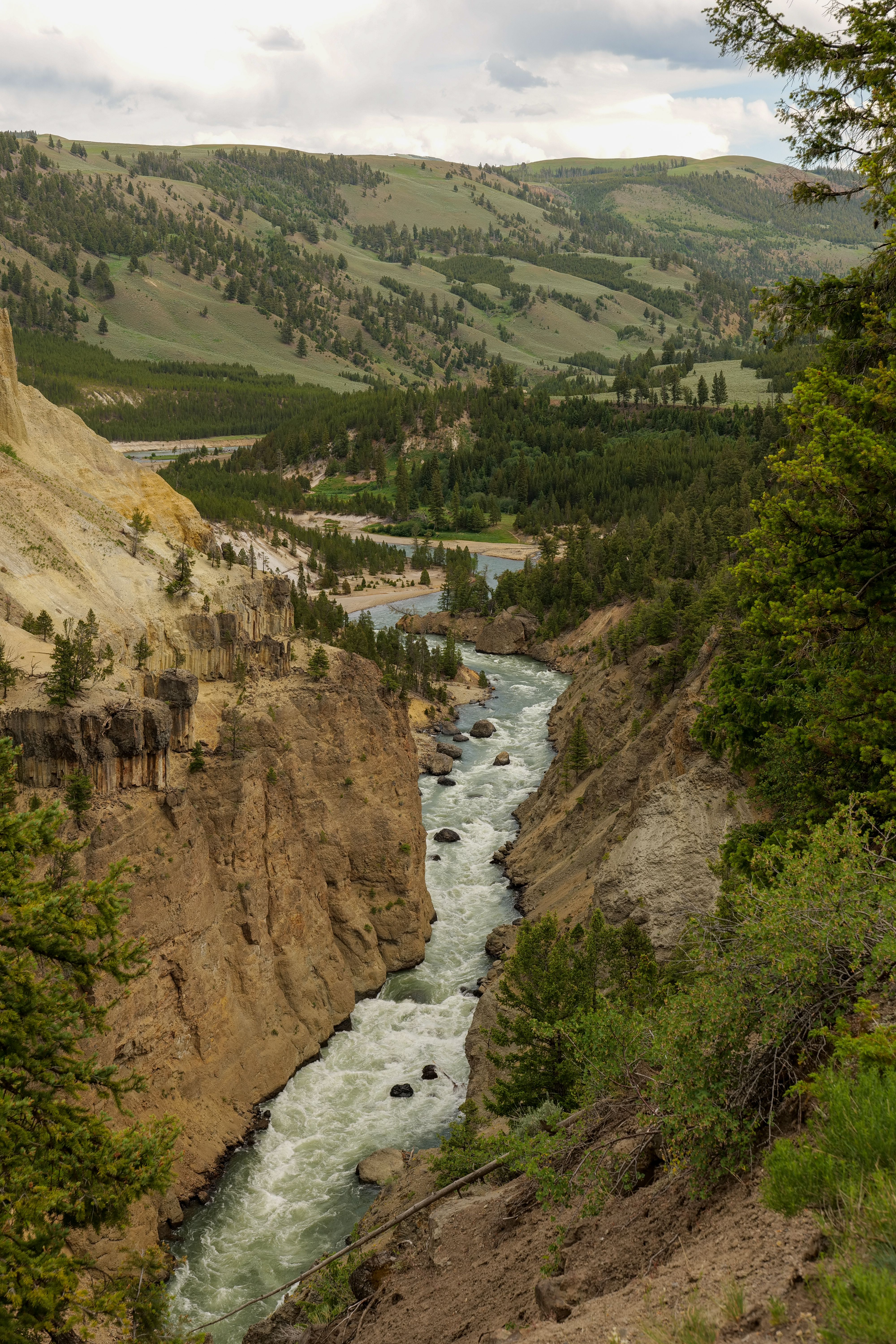 Stunning Landscape of Yellowstone River Canyon · Free Stock Photo
