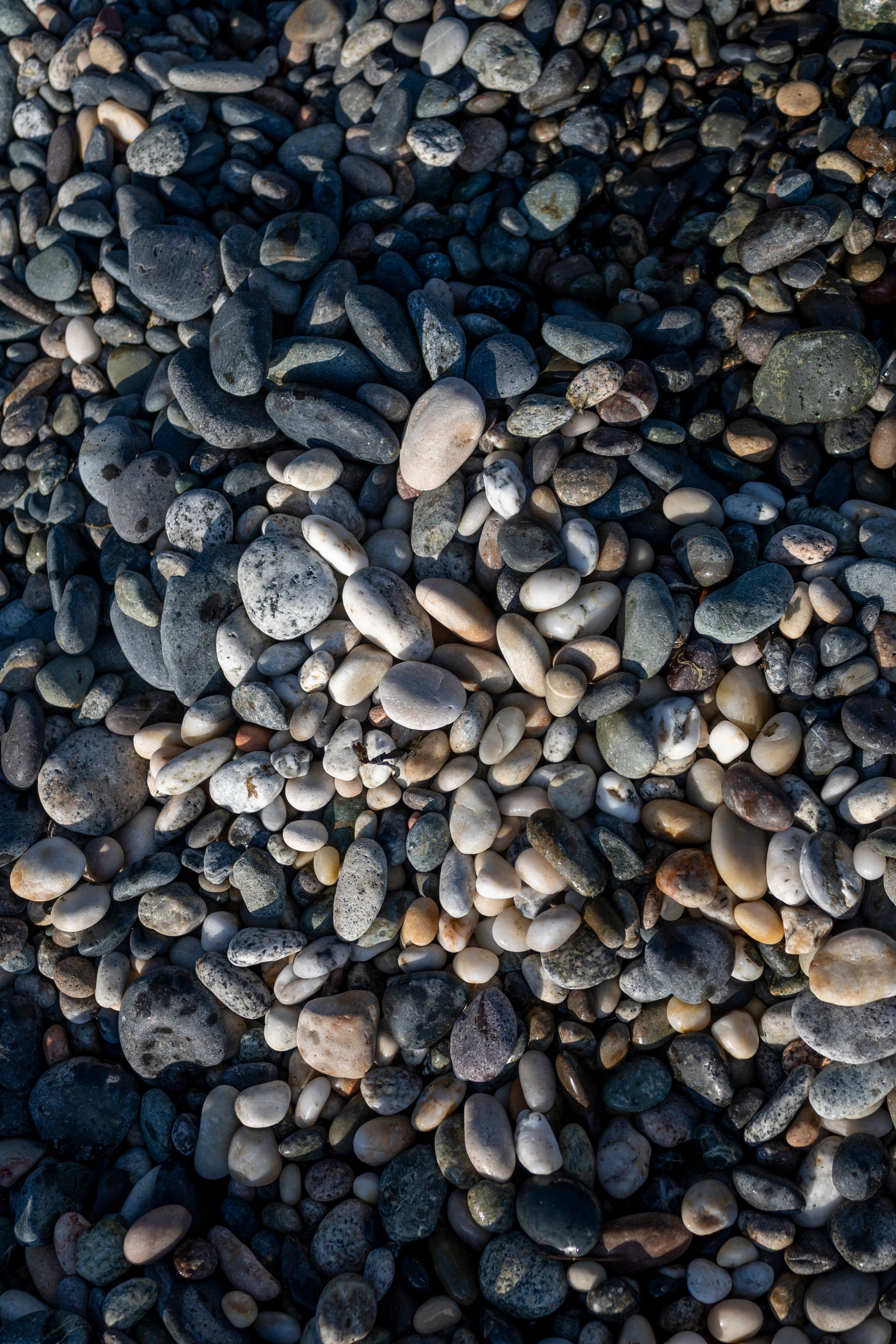 Zen Pattern Photos, Download The BEST Free Zen Pattern Stock Photos ...