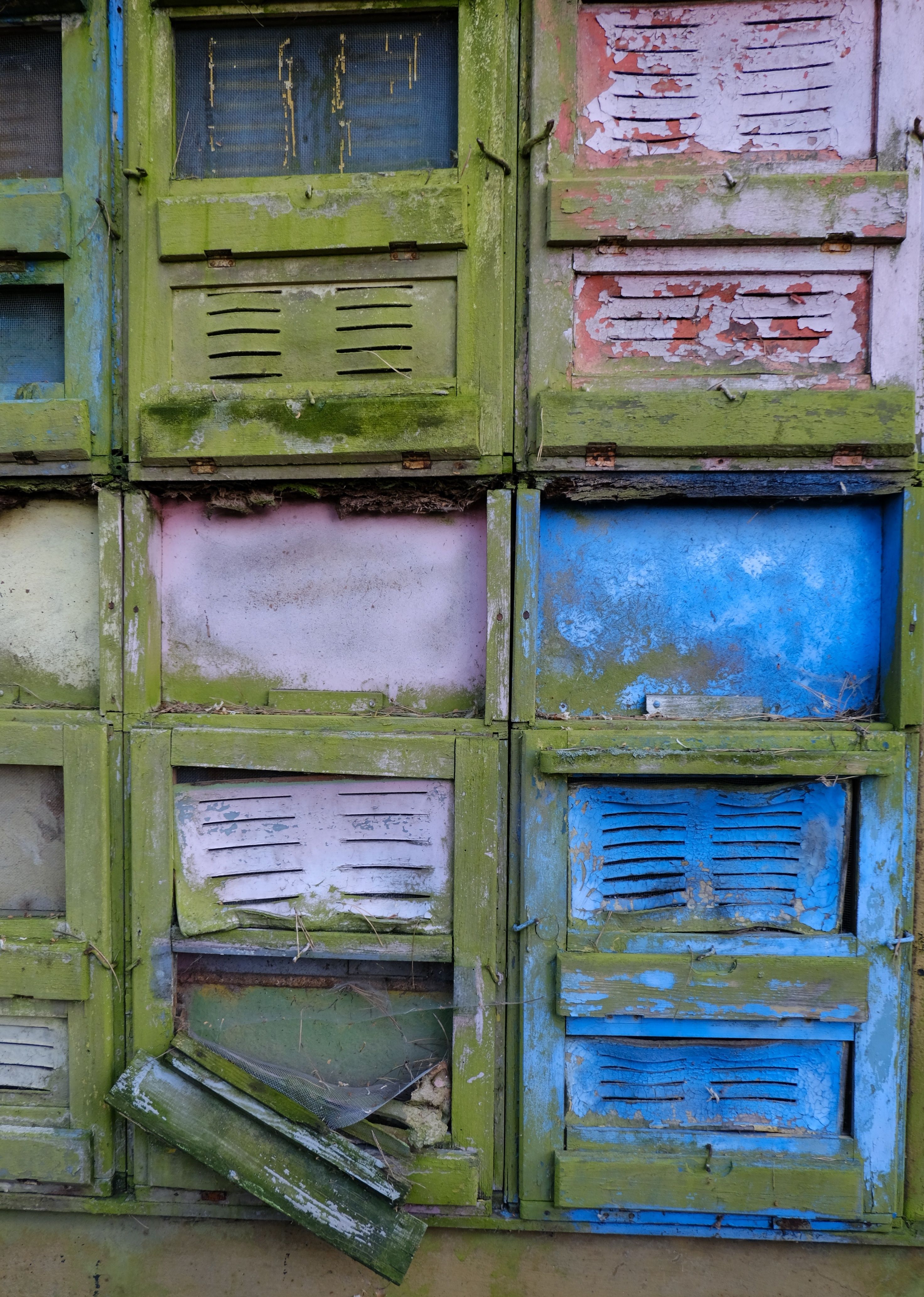 Colorful Rustic Wooden Window Frames · Free Stock Photo
