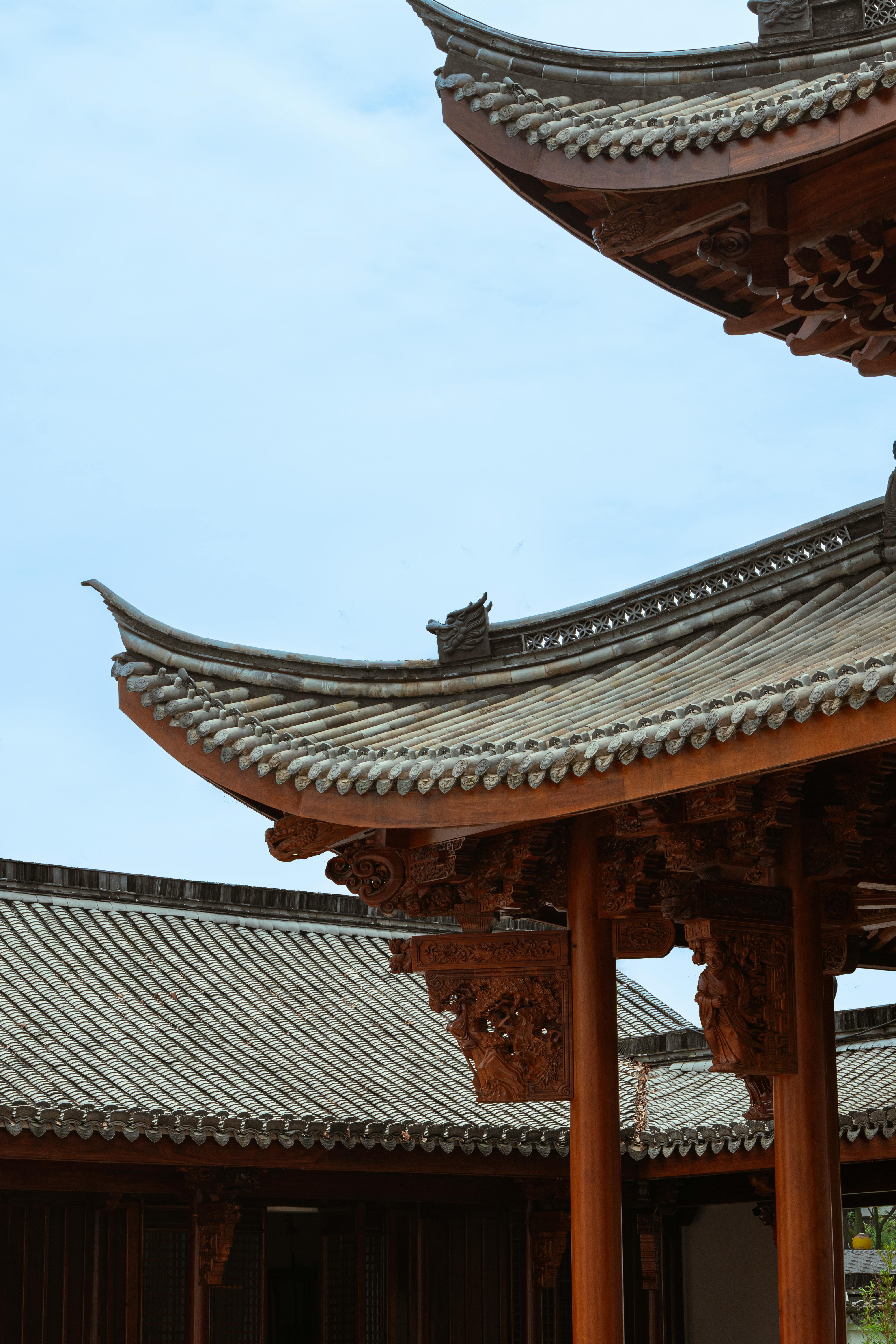 Elegant Traditional Asian Architecture Roofs · Free Stock Photo