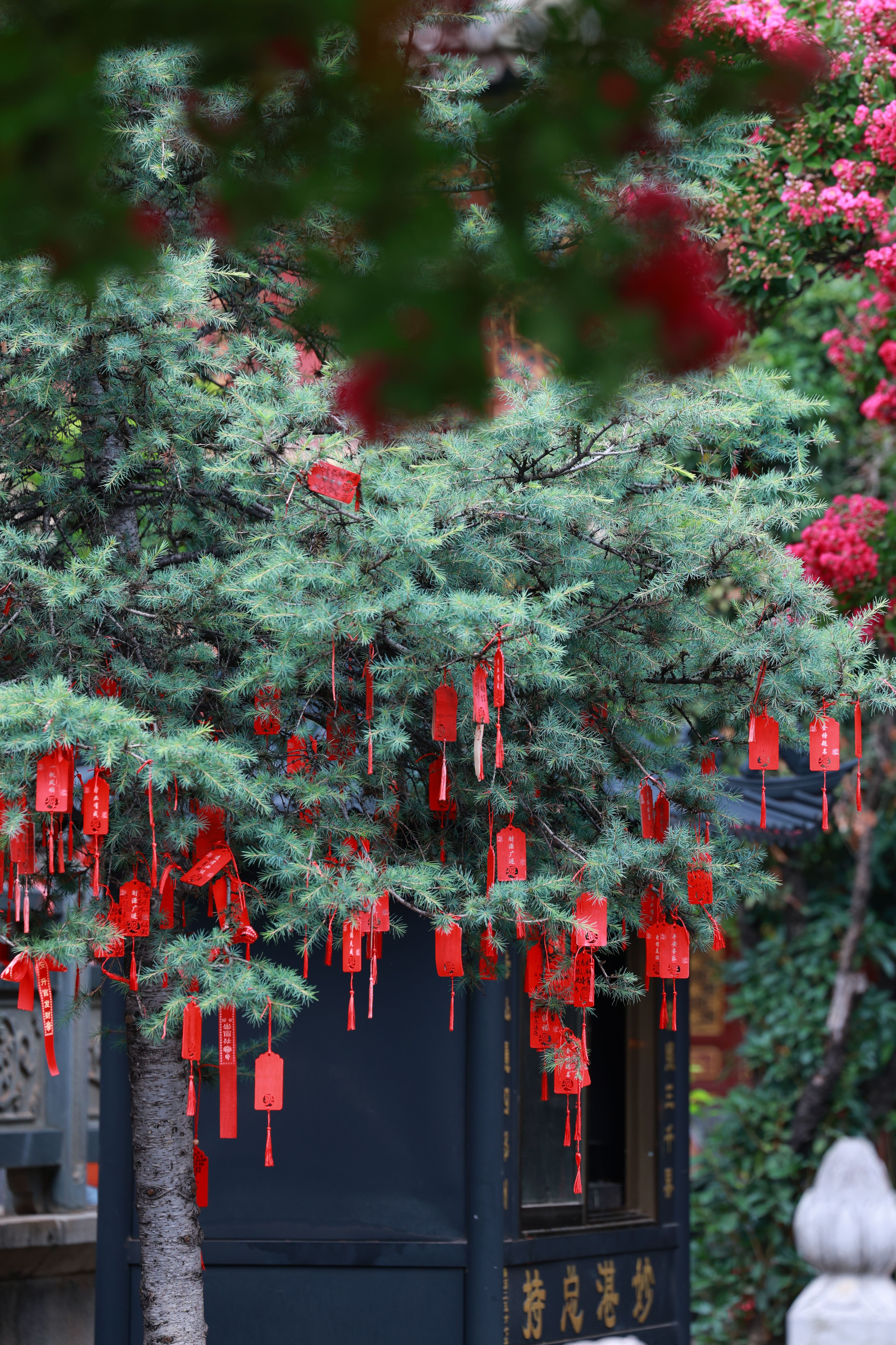 Red Wish Tags Hanging on Tree in Asian Garden · Free Stock Photo