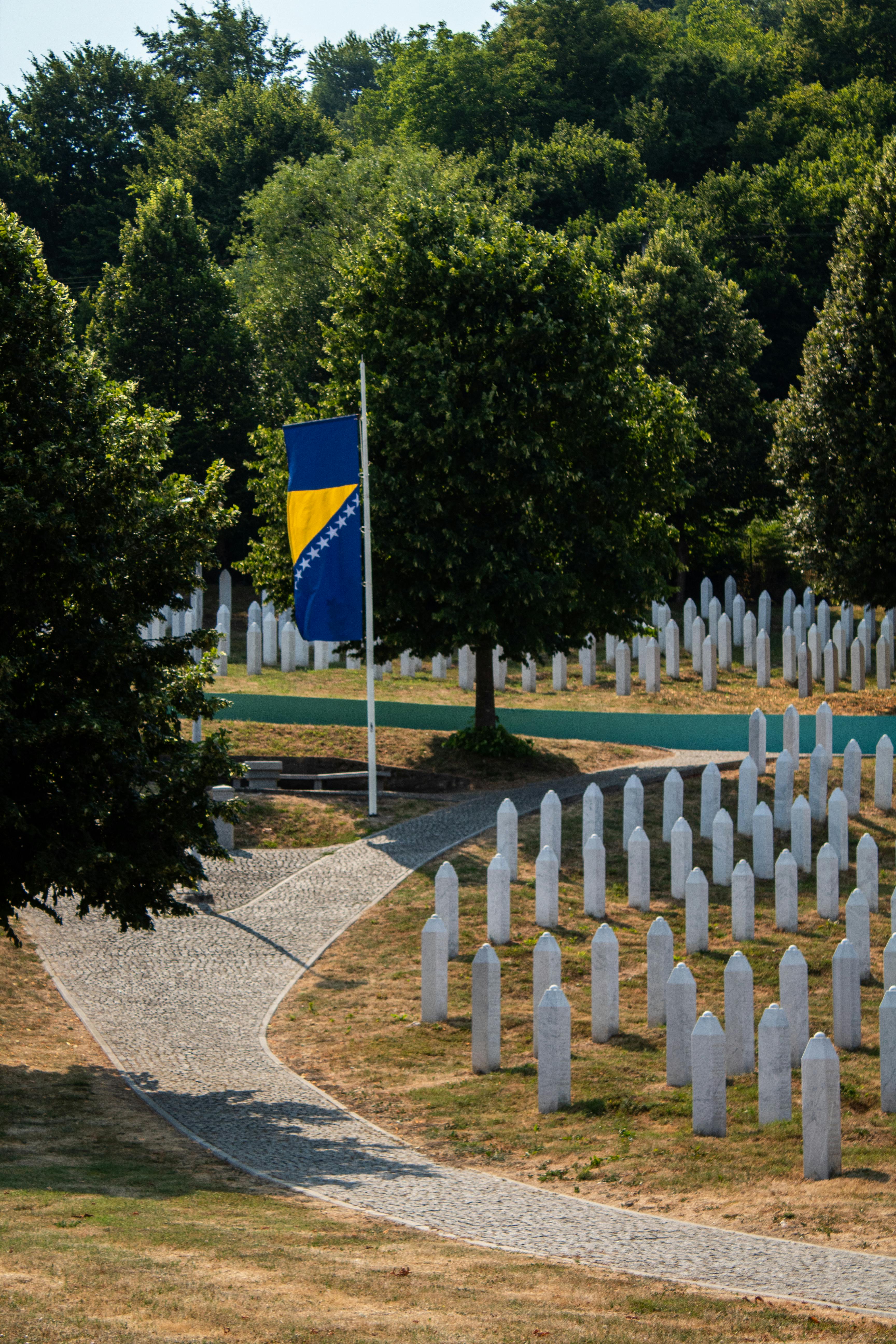 Verbal Recognition Photos, Download The BEST Free Verbal Recognition ...