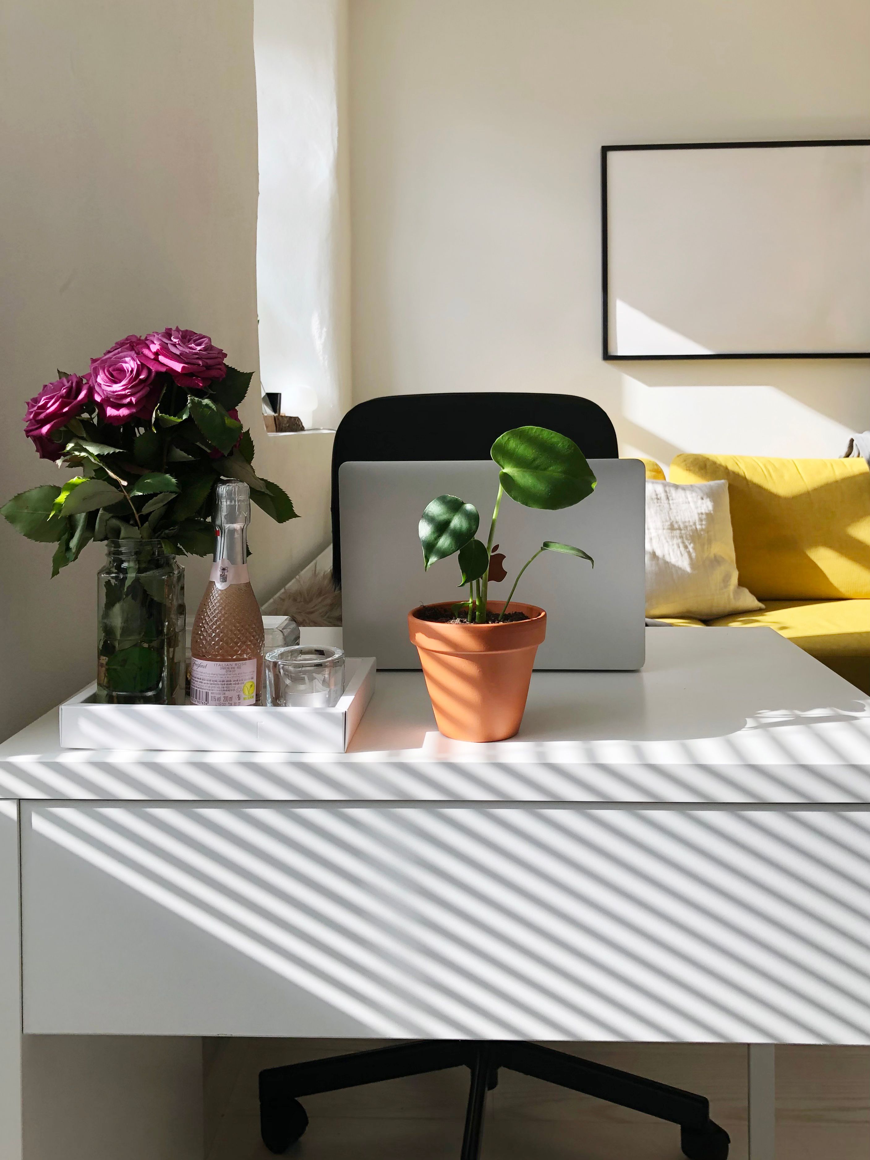 Office Decor Photos, Download The BEST Free Office Decor Stock Photos ...