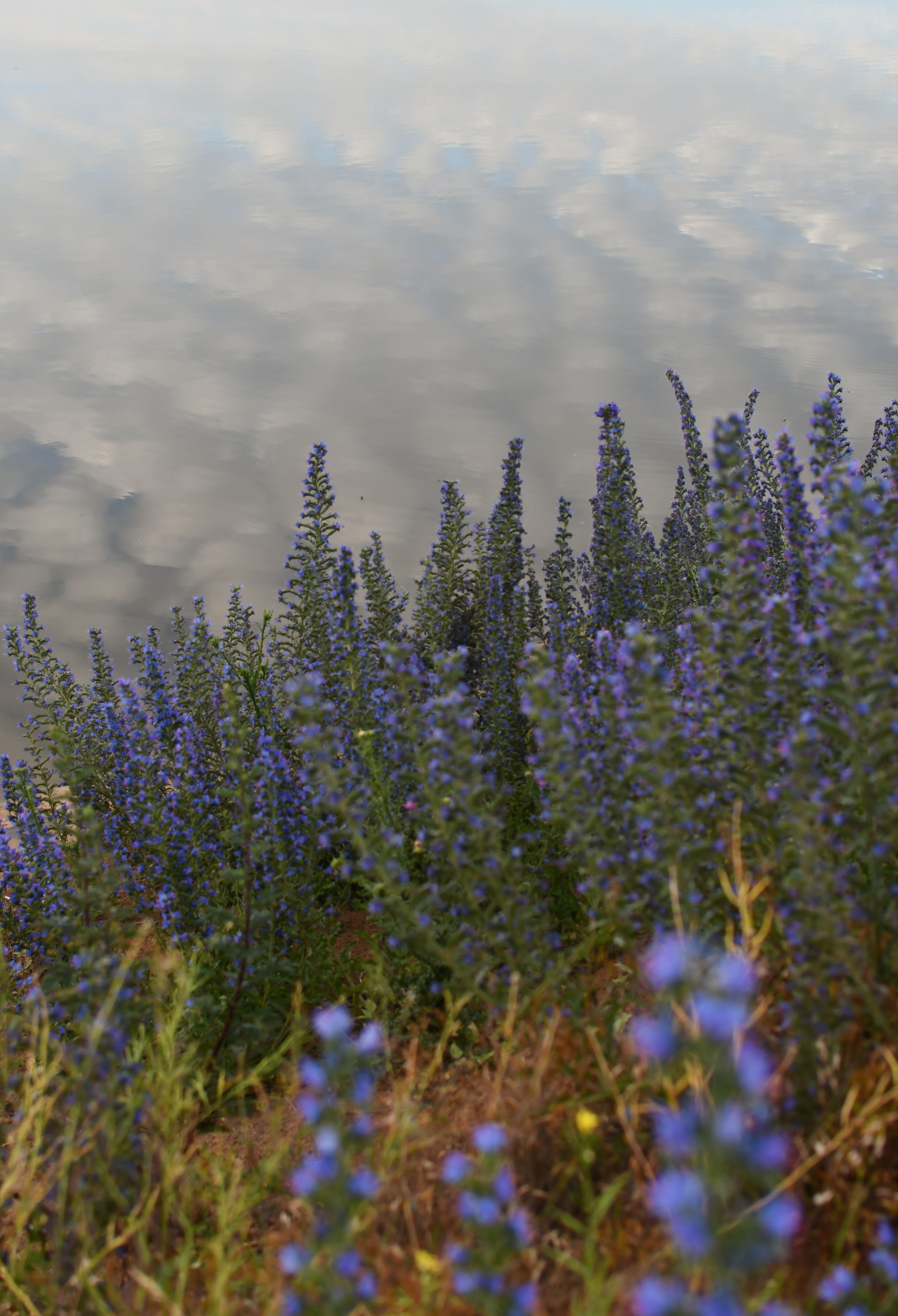 Calming Photos, Download The BEST Free Calming Stock Photos & HD Images