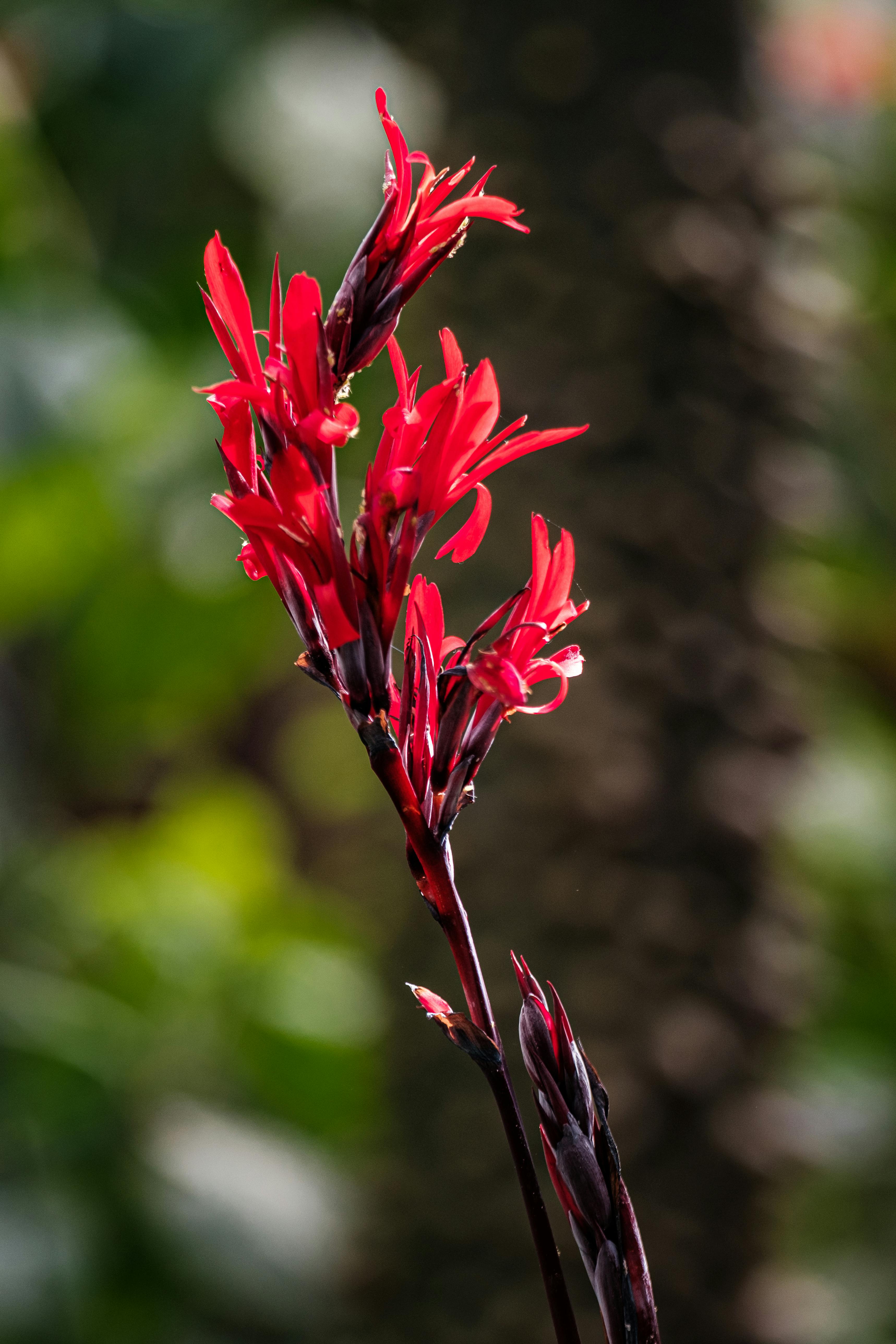 Smiski+Wallpaper Photos, Download The BEST Free Smiski+Wallpaper Stock ...