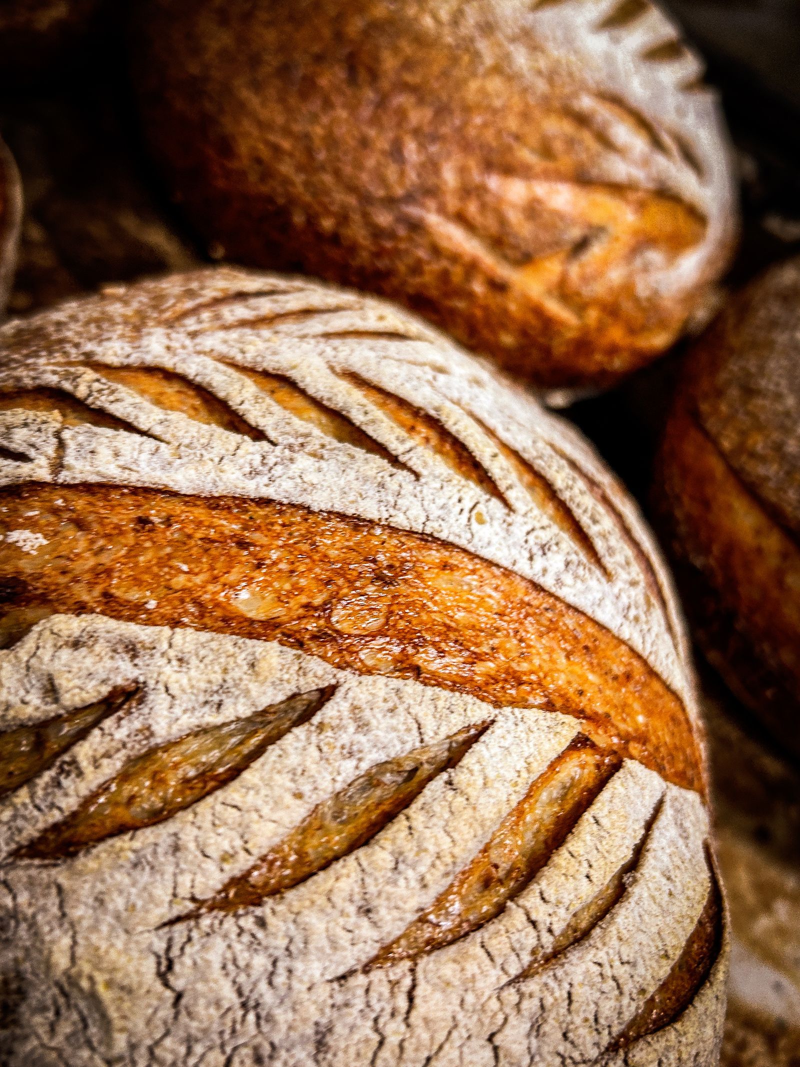 Bread Loaves Photos, Download The BEST Free Bread Loaves Stock Photos ...