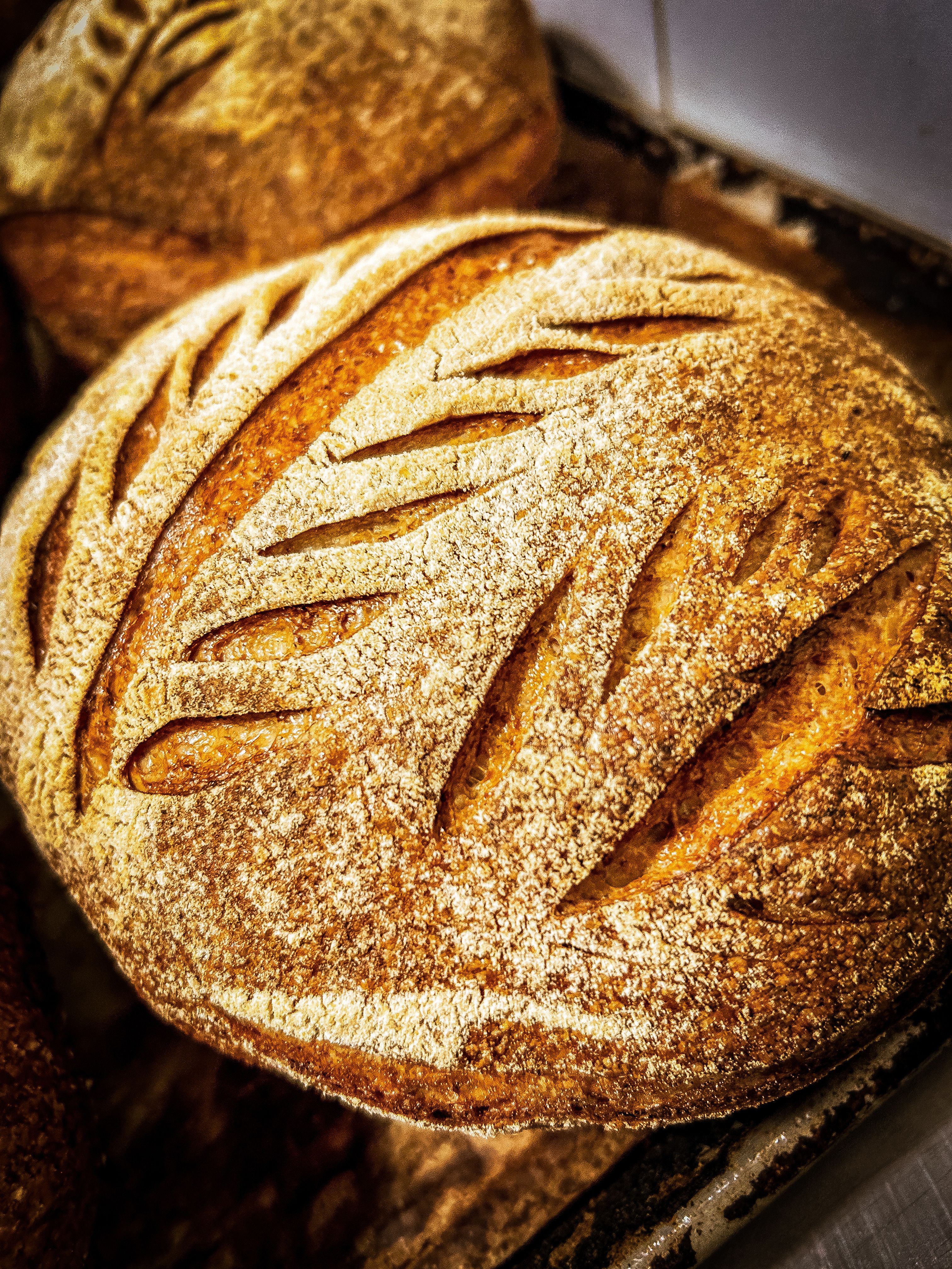 Close-up of Rustic Artisan Bread Loaf · Free Stock Photo