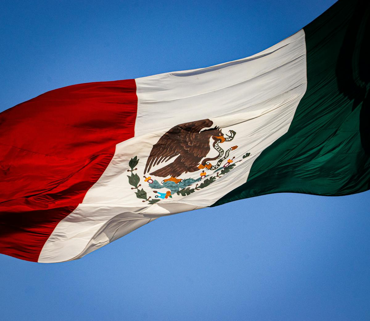 Mexico Flag Photos, Download The BEST Free Mexico Flag Stock Photos ...