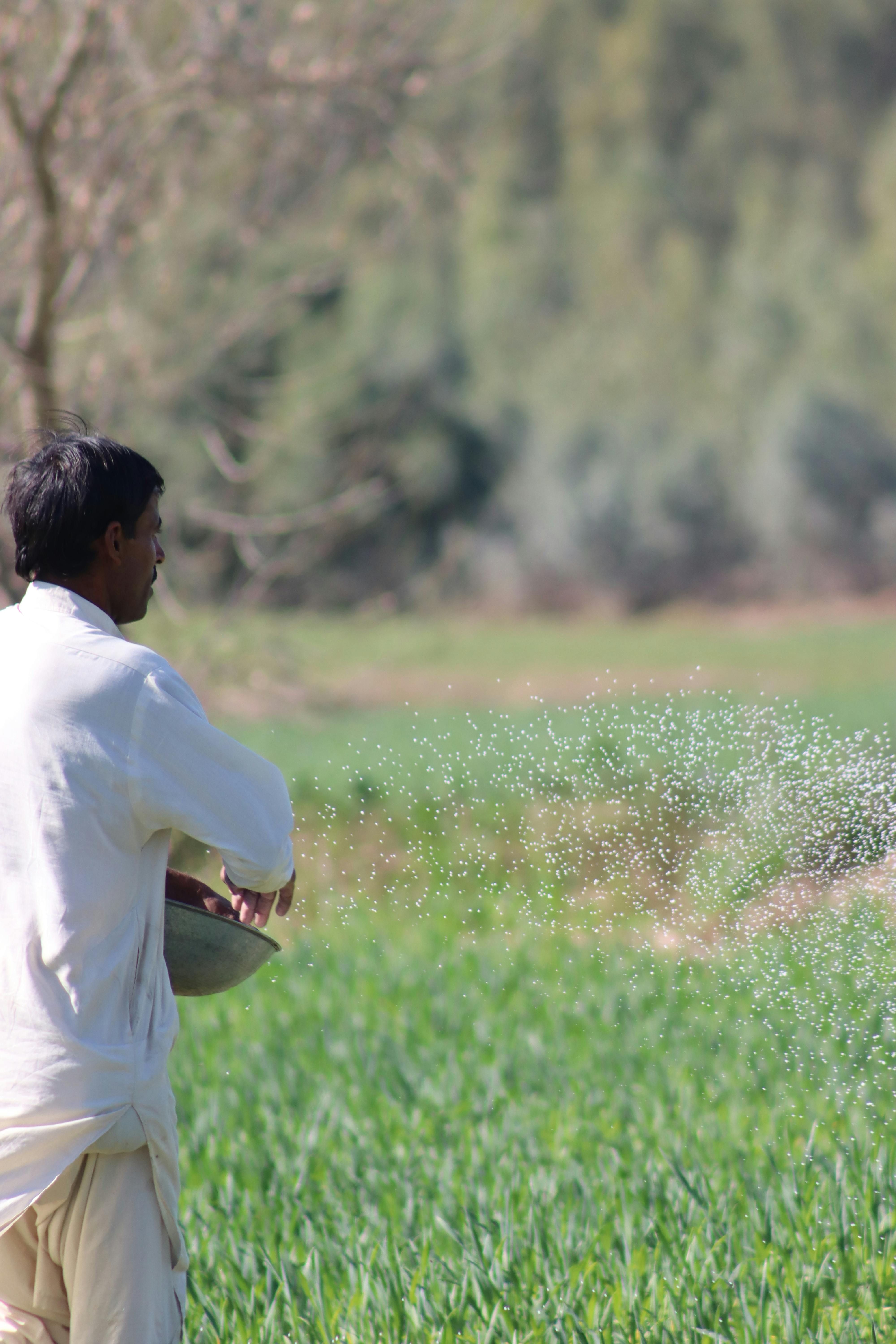 Landscape Reference Photos, Download The BEST Free Landscape Reference ...