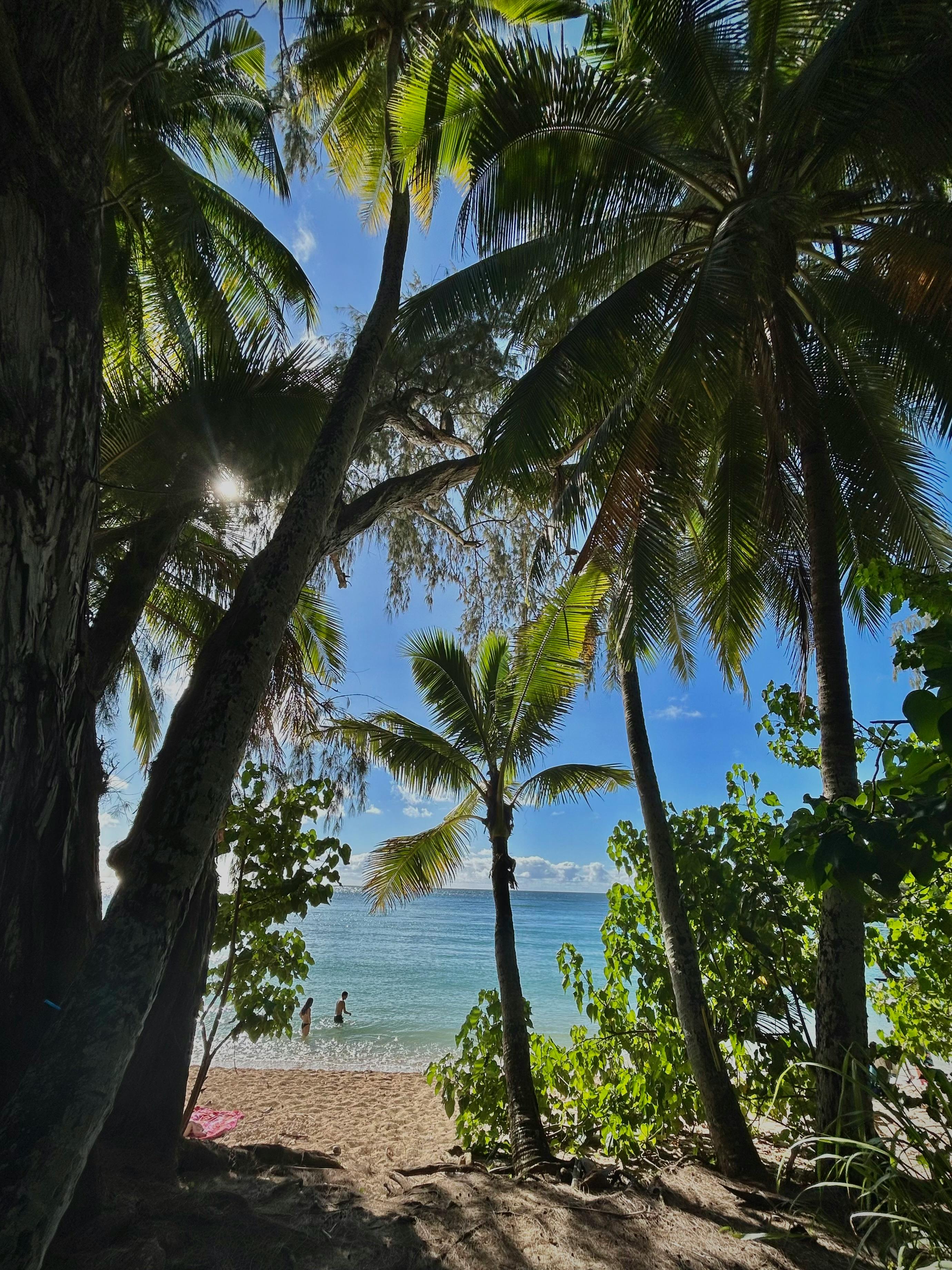 Beach Scenes Photos, Download The BEST Free Beach Scenes Stock Photos ...