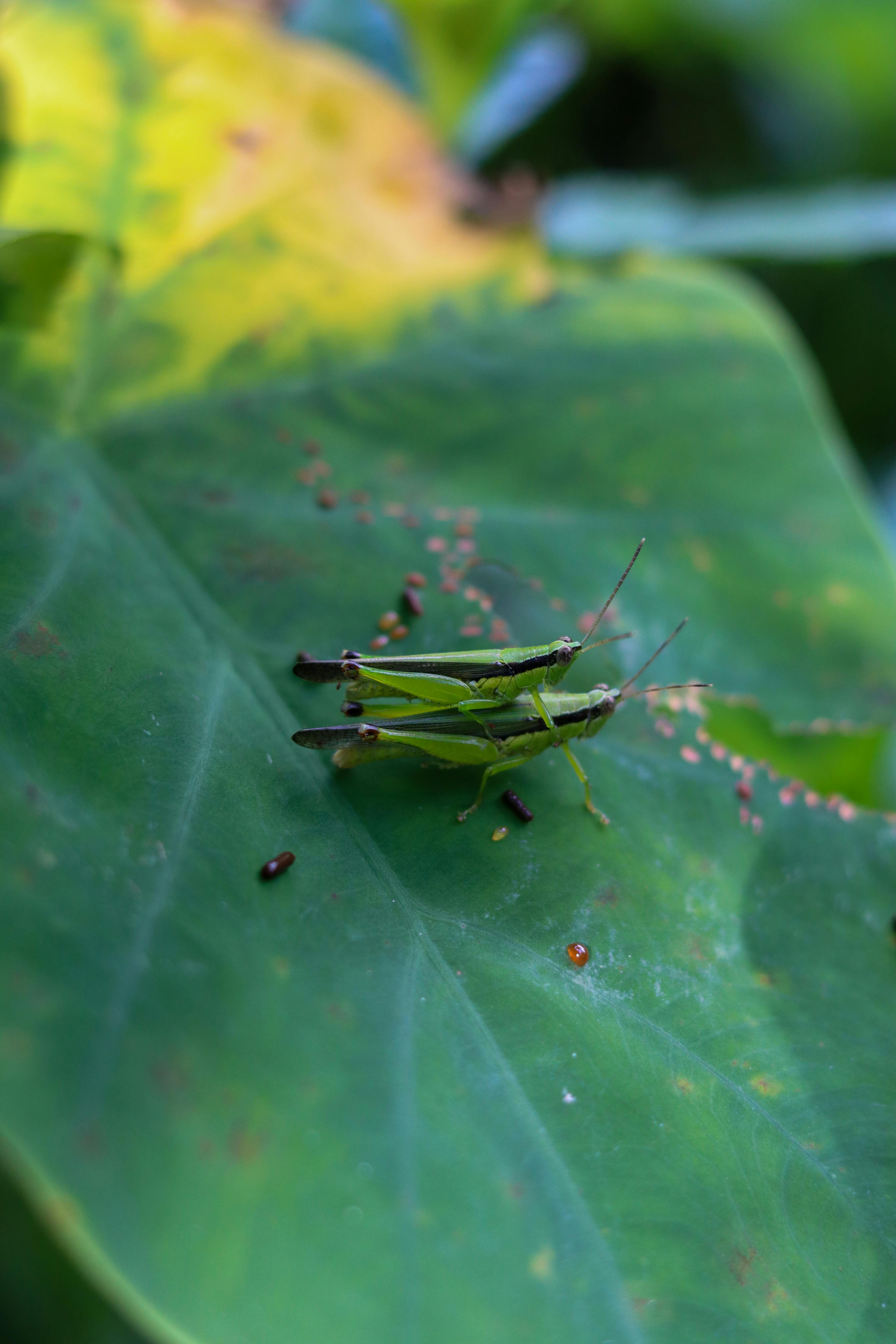 Nitro+Hd Photos, Download The BEST Free Nitro+Hd Stock Photos & HD Images