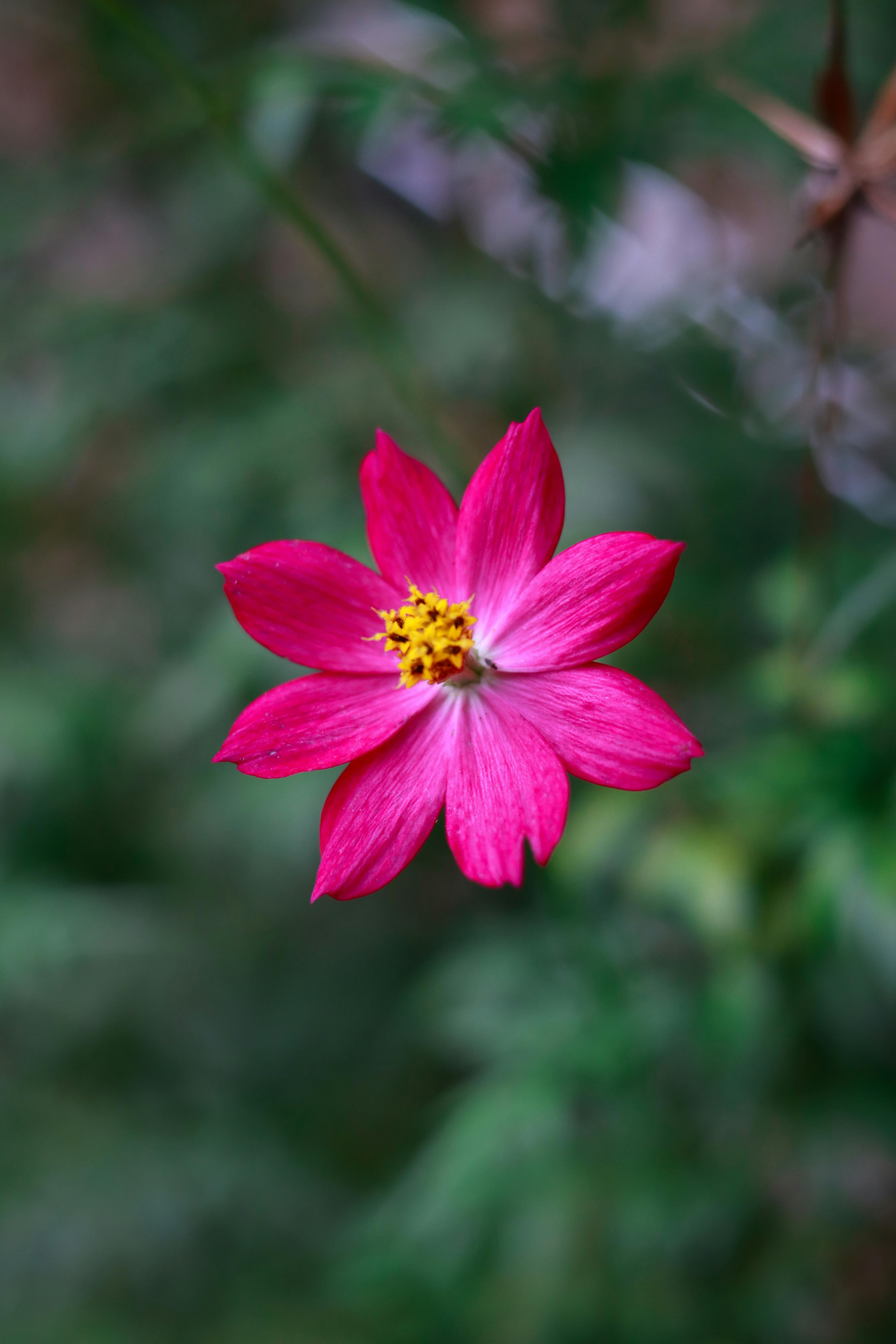 Smiski+Wallpaper Photos, Download The BEST Free Smiski+Wallpaper Stock ...