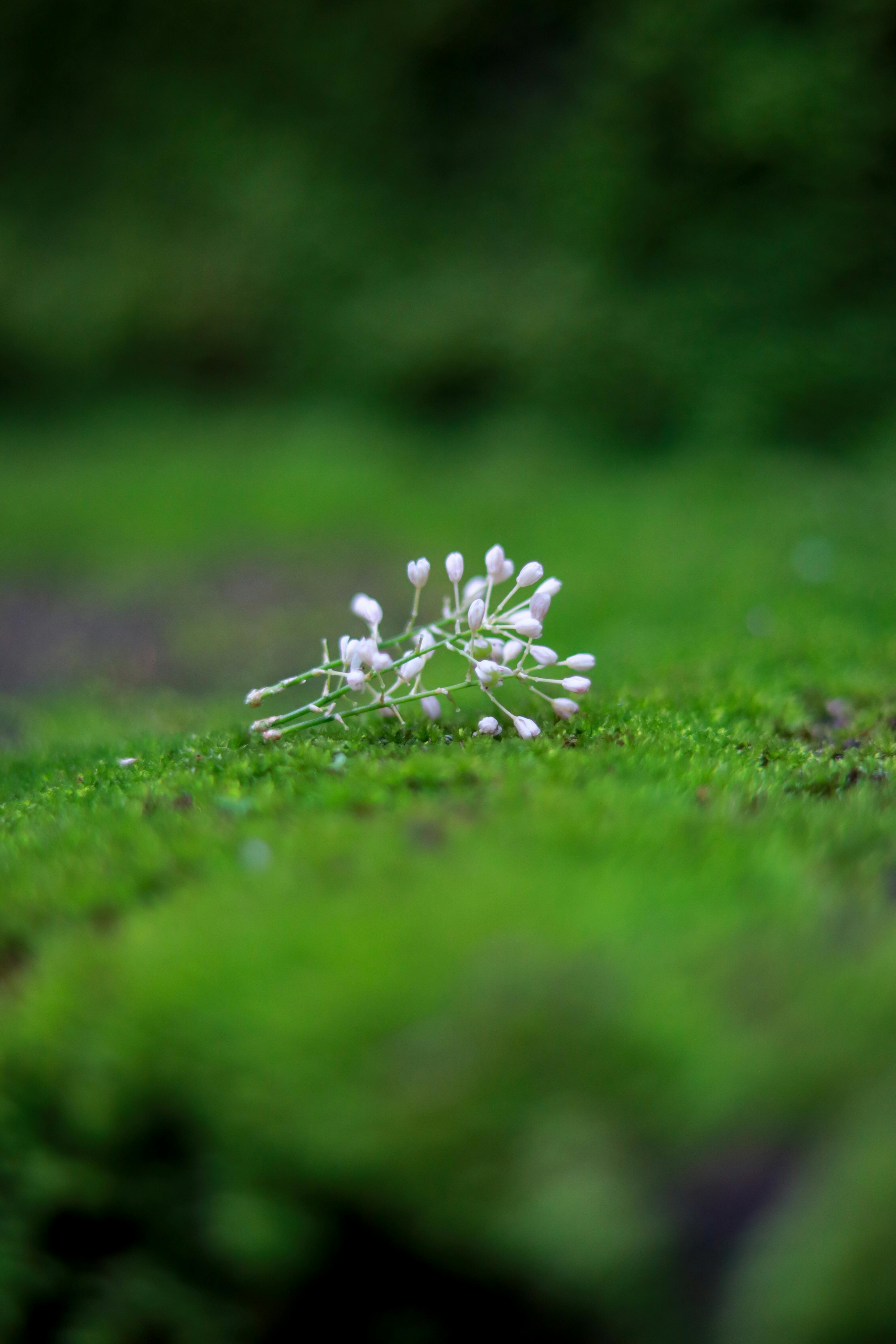 Tuff+Fortnite+Wallpapers Photos, Download The BEST Free Tuff+Fortnite ...