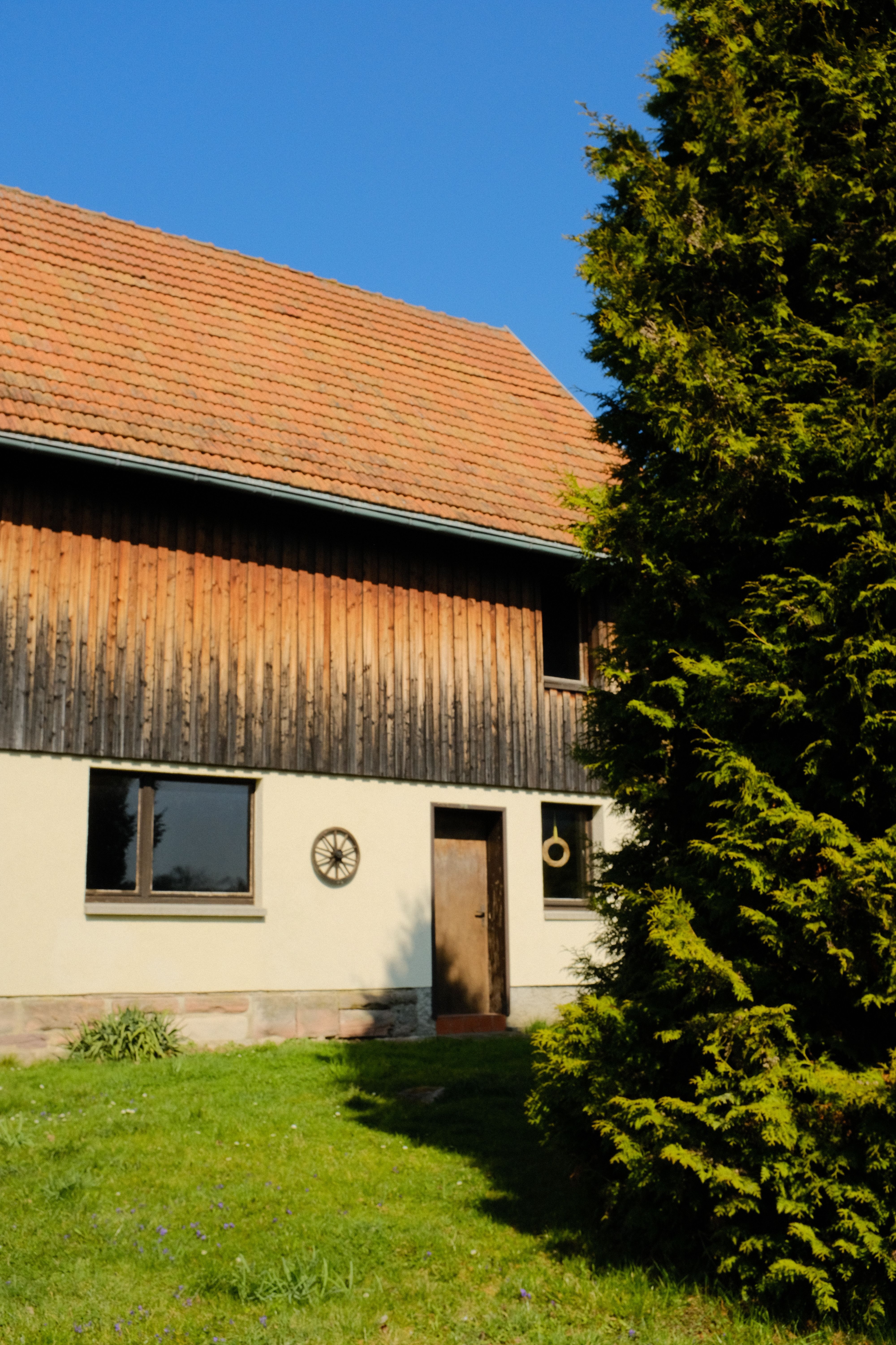 Charming Rustic House with Tree in Sunlight · Free Stock Photo
