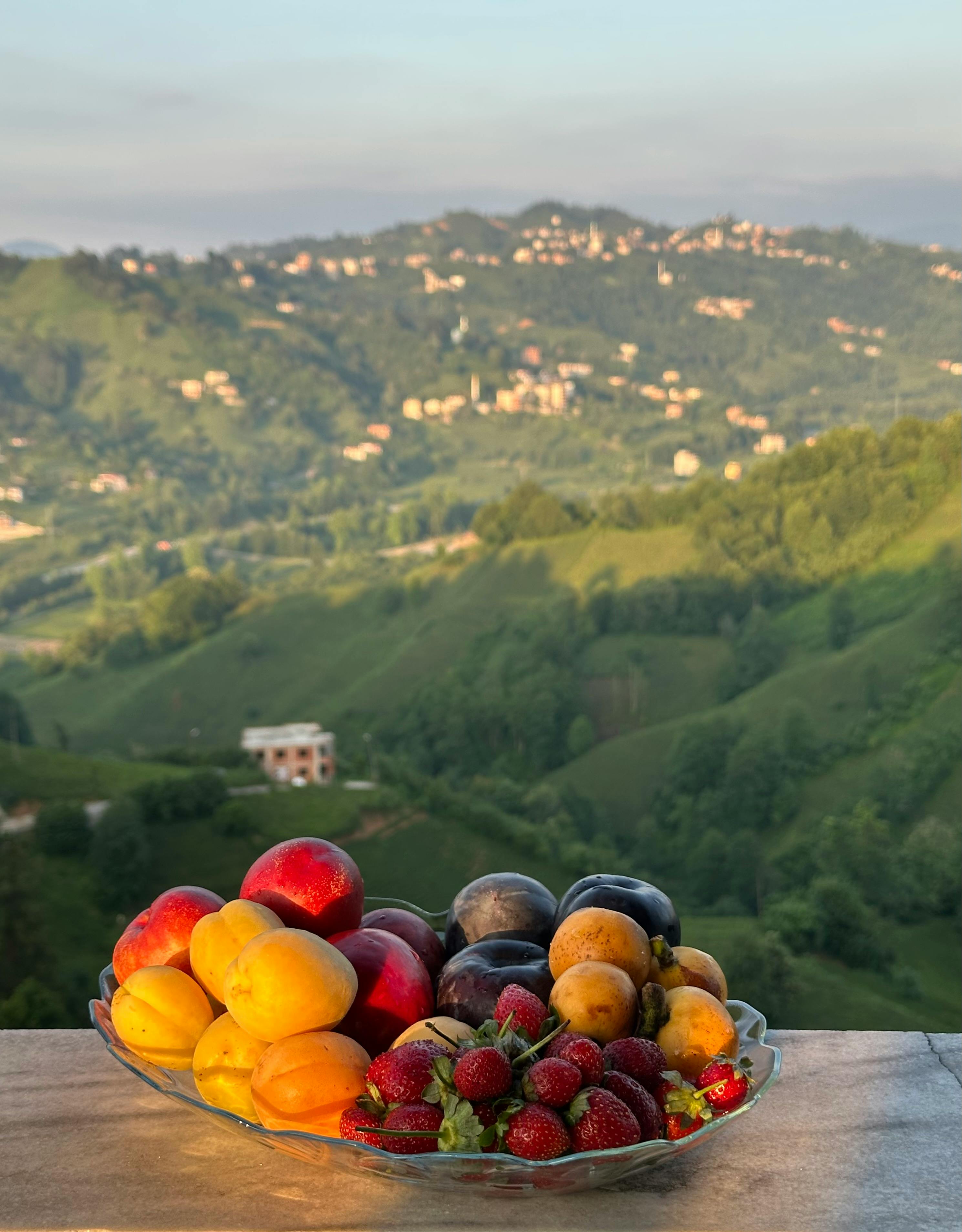 Imx+Peaches Photos, Download The BEST Free Imx+Peaches Stock Photos ...