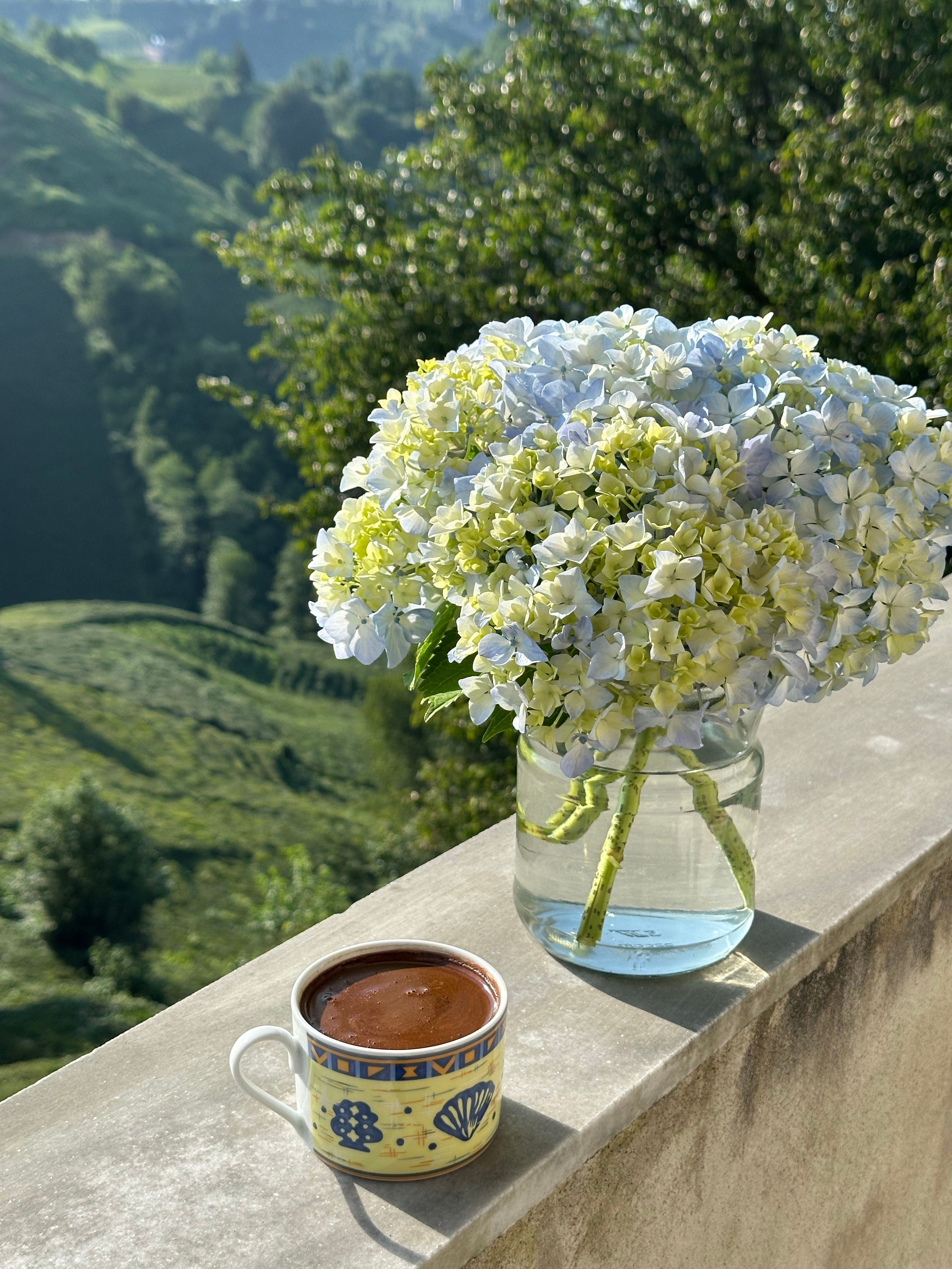 Blue Hydrangea Bouquet with Coffee and Scenic View · Free Stock Photo