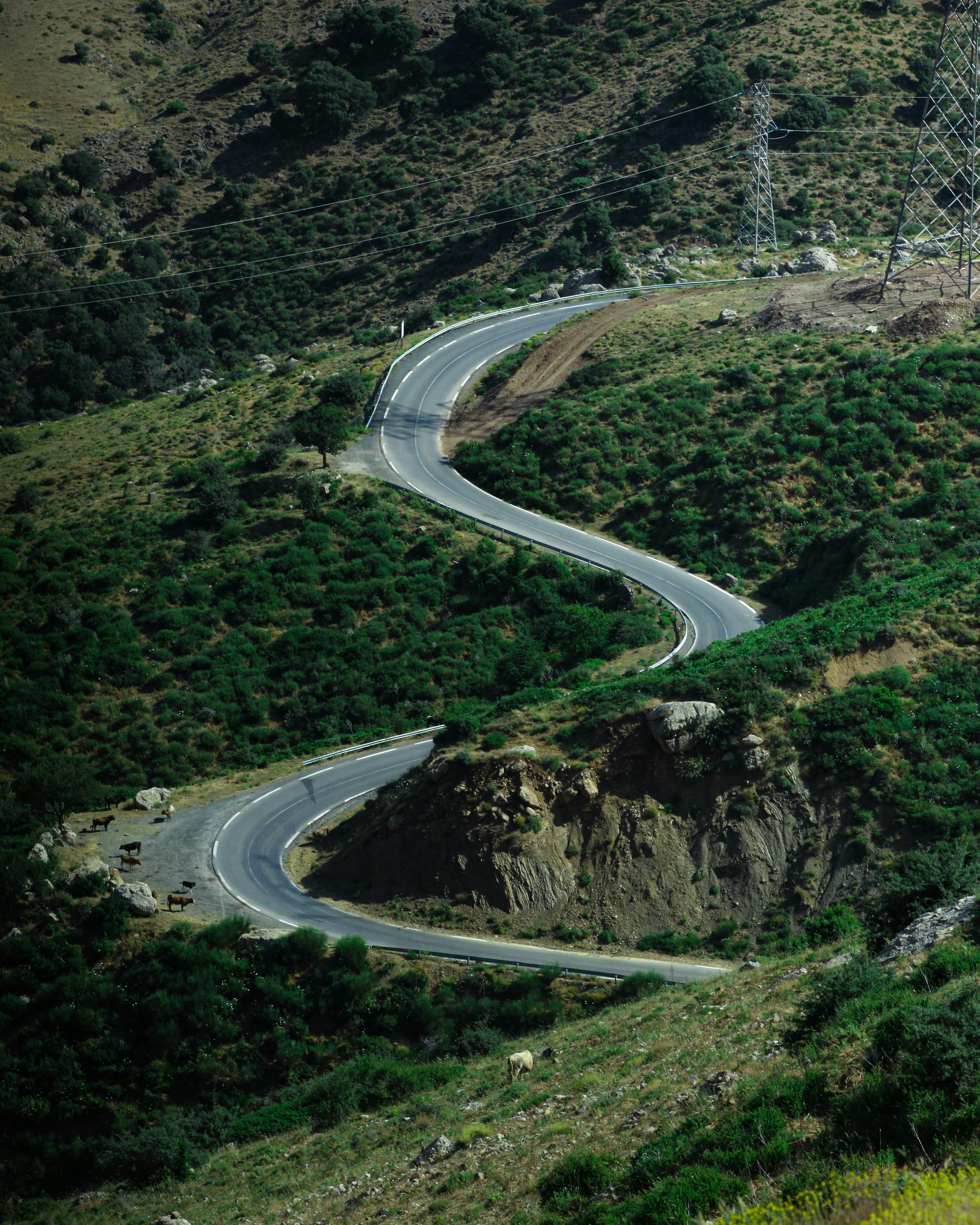 Teenfuns+Telegraph Photos, Download The BEST Free Teenfuns+Telegraph ...