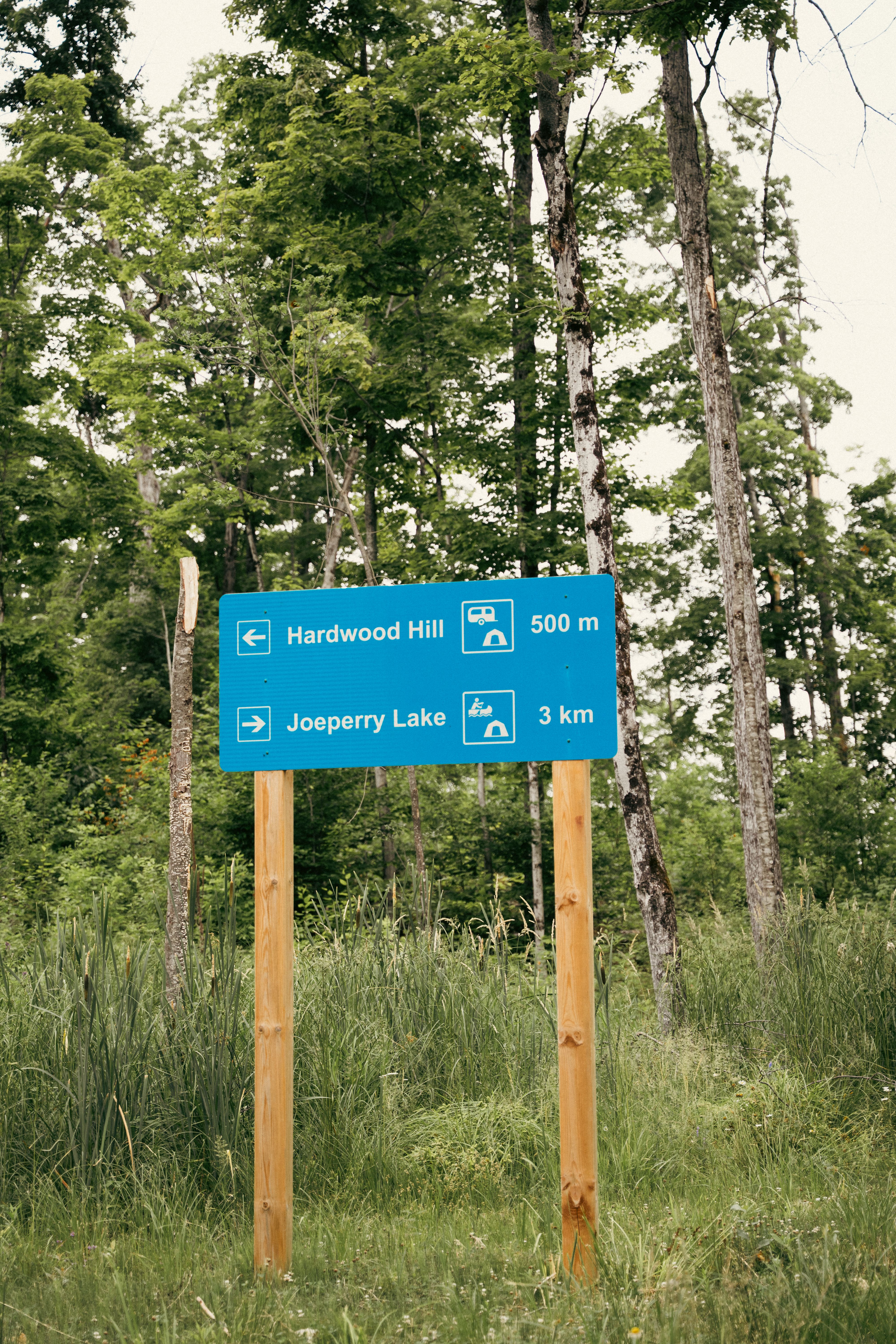 Forest Trail Sign to Hardwood Hill and Joeperry Lake · Free Stock Photo
