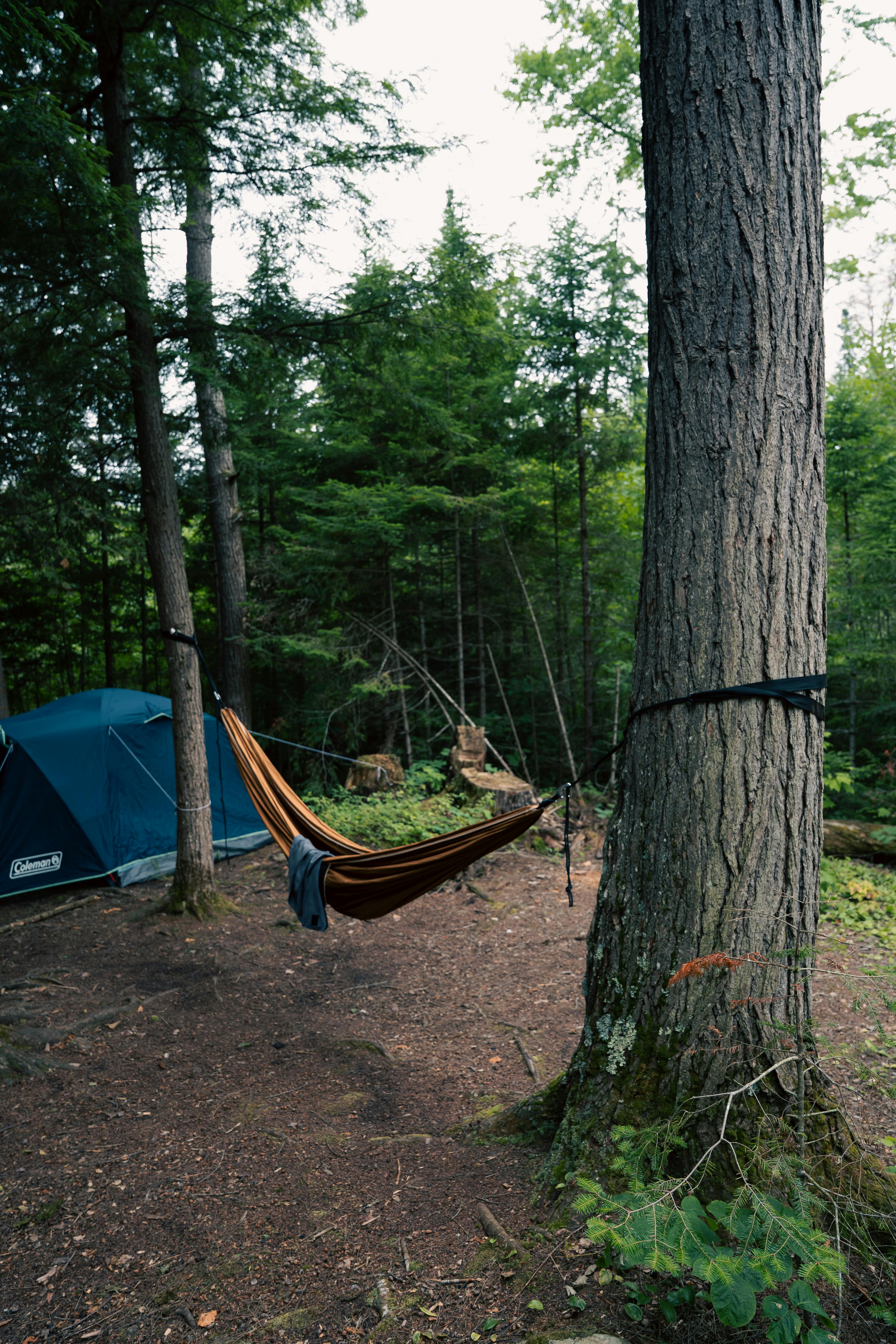 Bushcraft Ağaç Evi Photos, Download The BEST Free Bushcraft Ağaç Evi ...